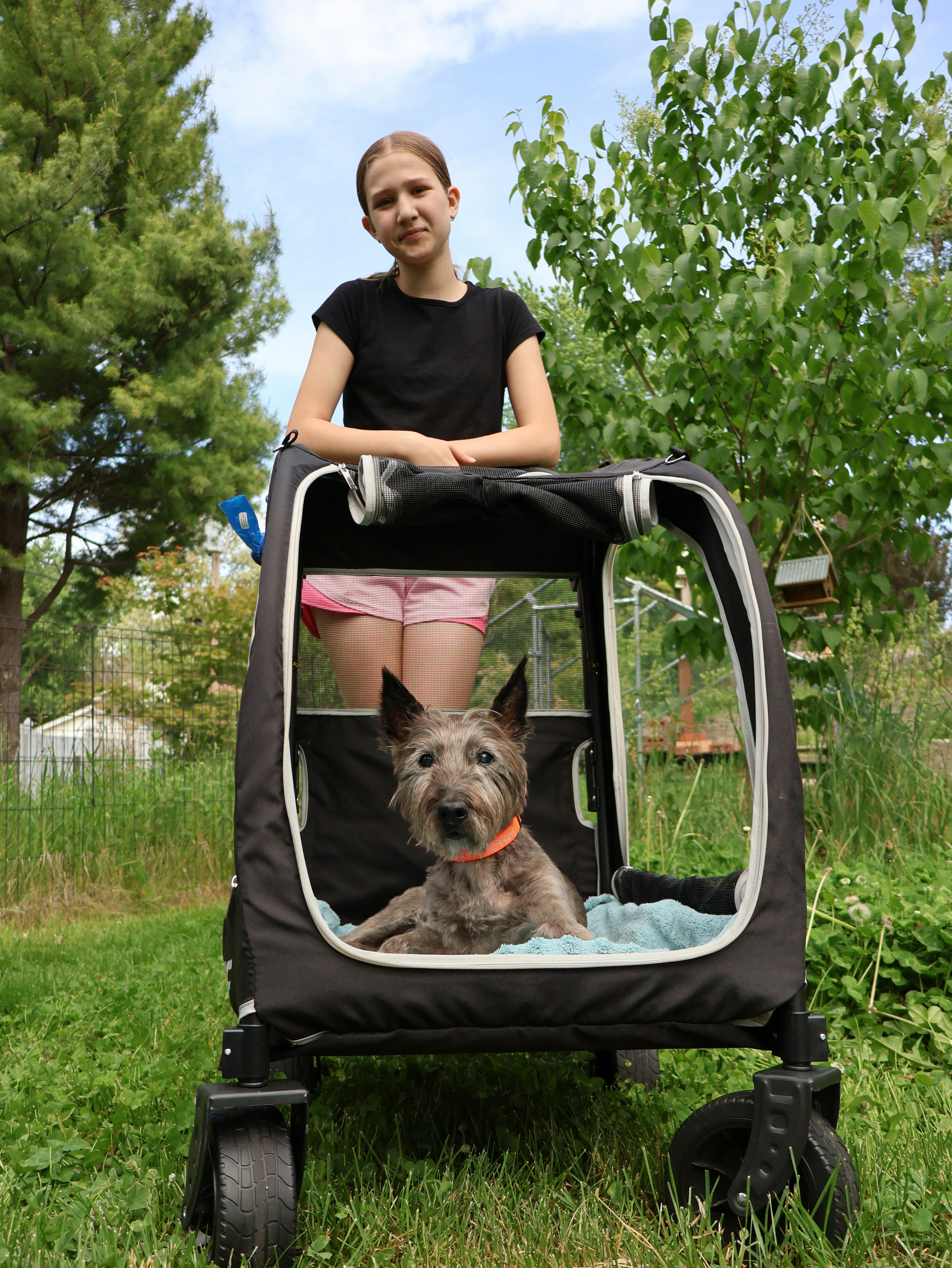 Girl and Dog in a Front-Backyard Wagon