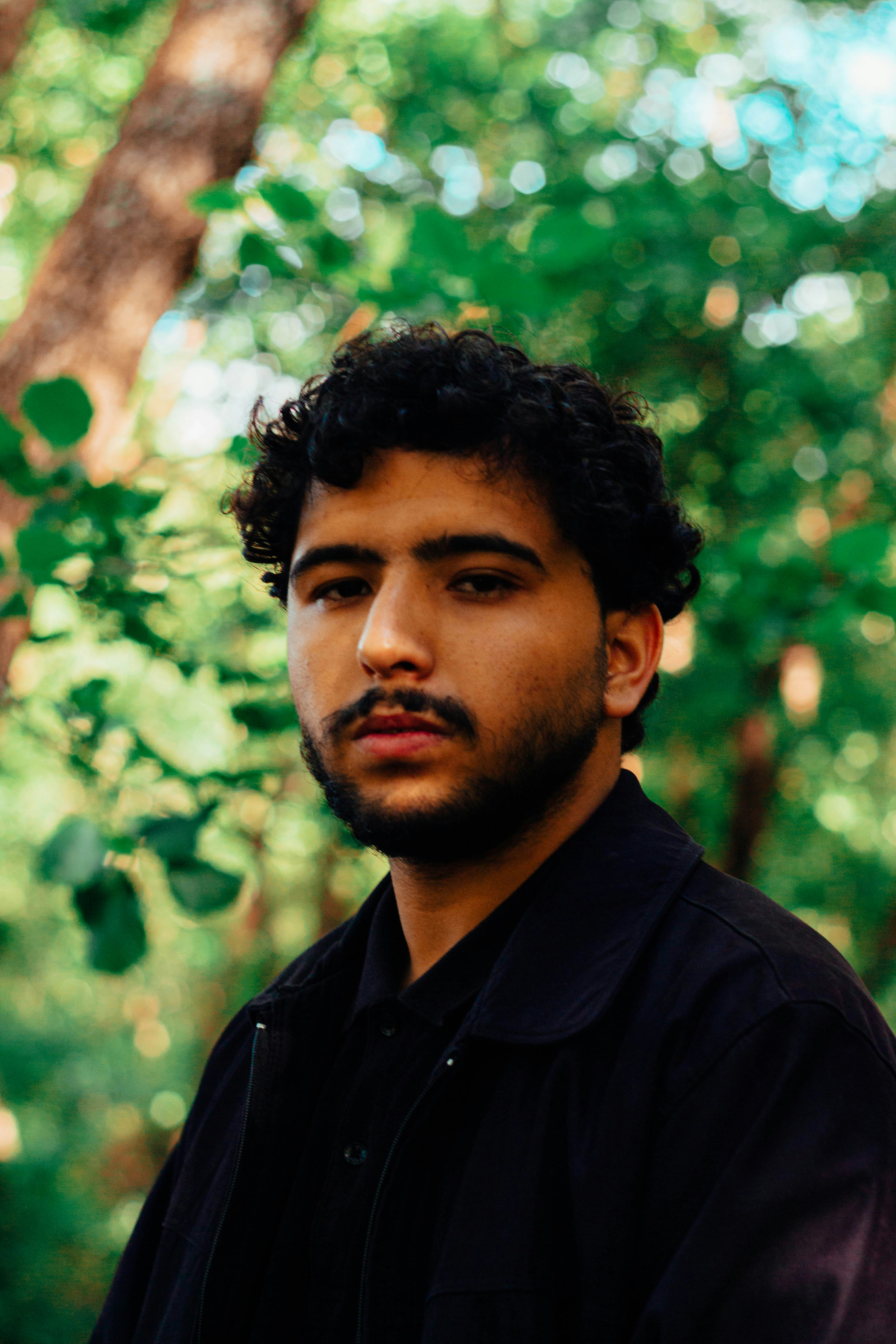 Midday Quiet: A Quiet Portrait in Dappled Green