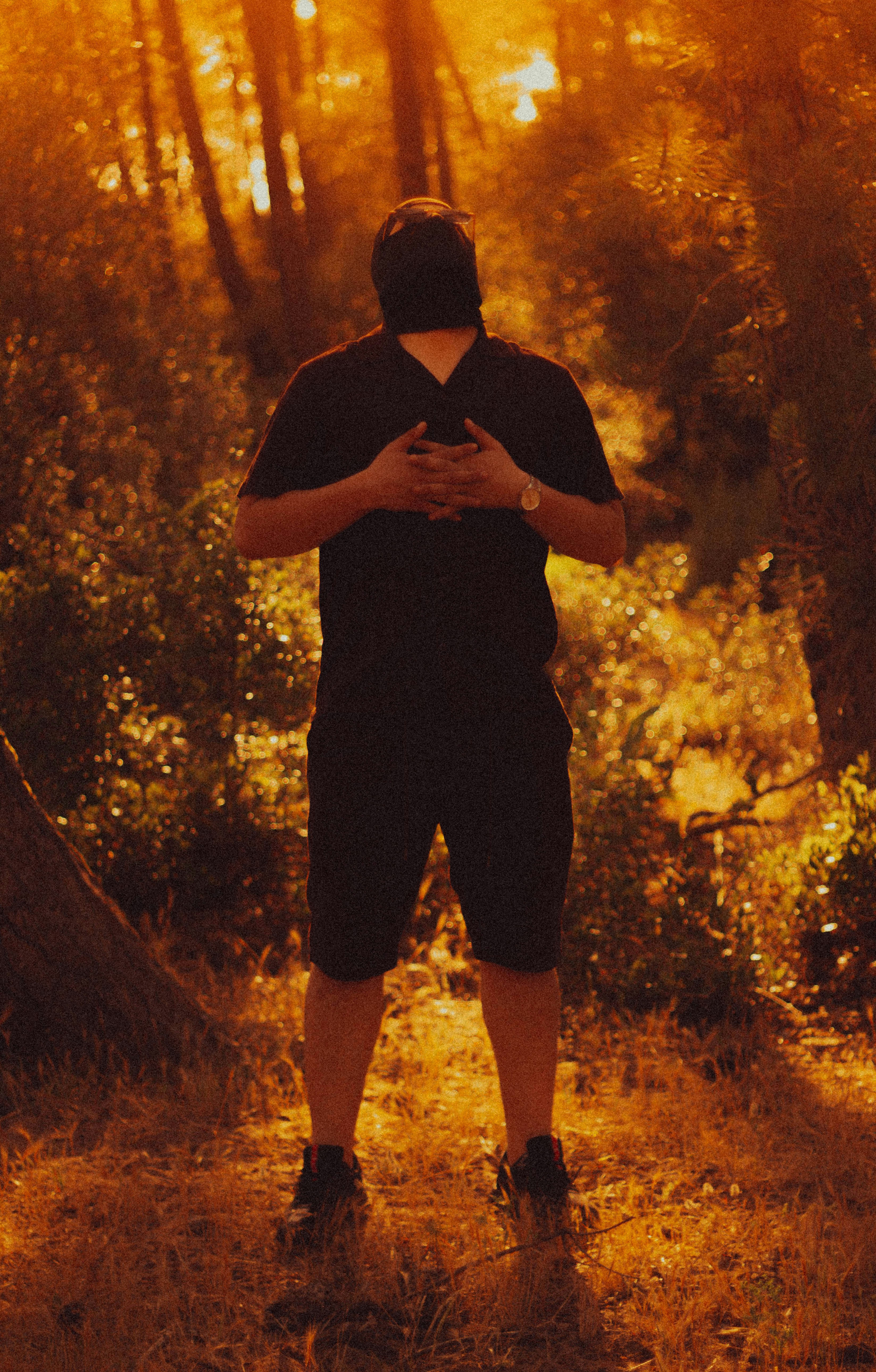 Figure with clasped hands in a warm, sun-drenched forest. photo – Free ...