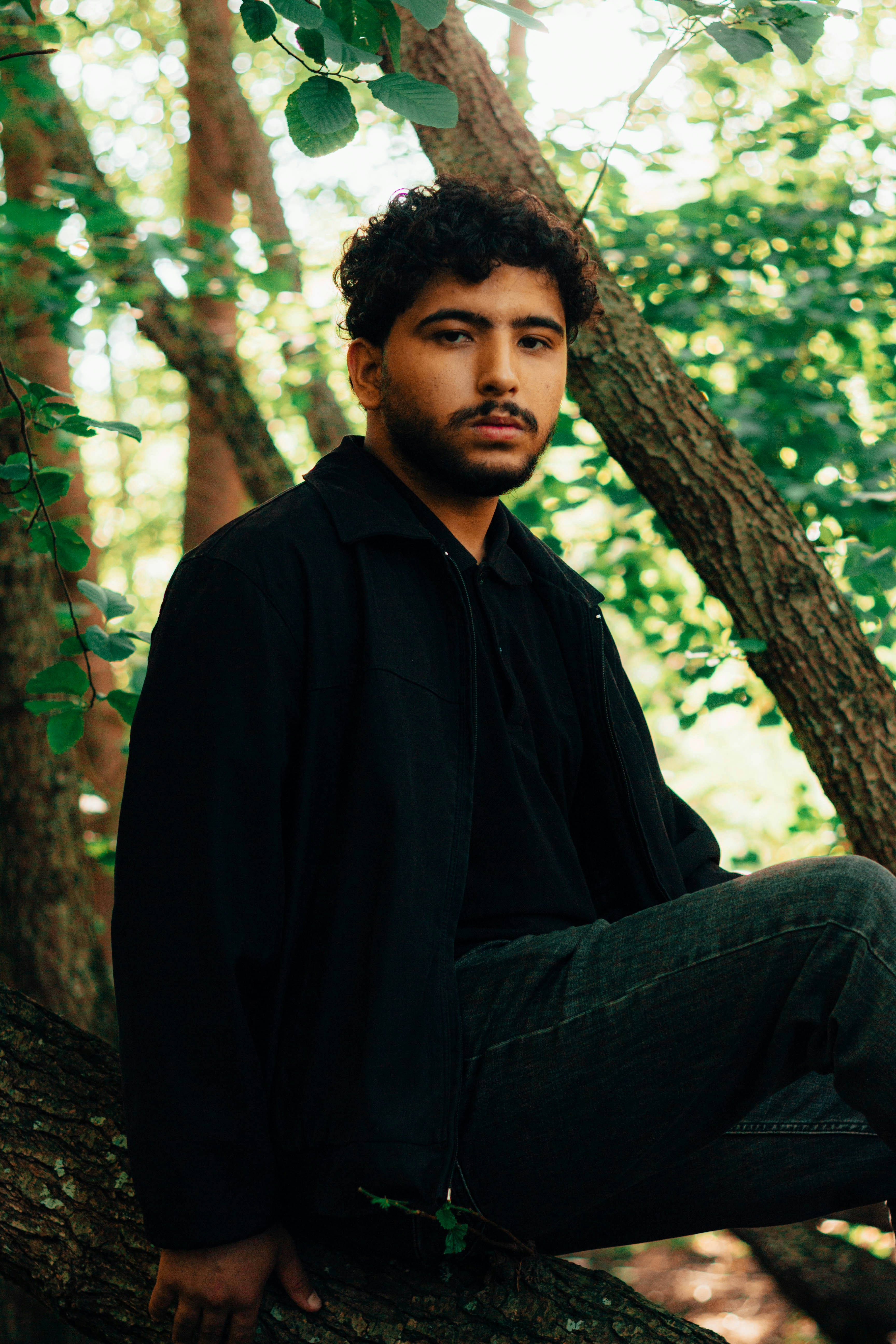 Chiaroscuro in the Woods: A Quiet Portrait on a Tree Branch
