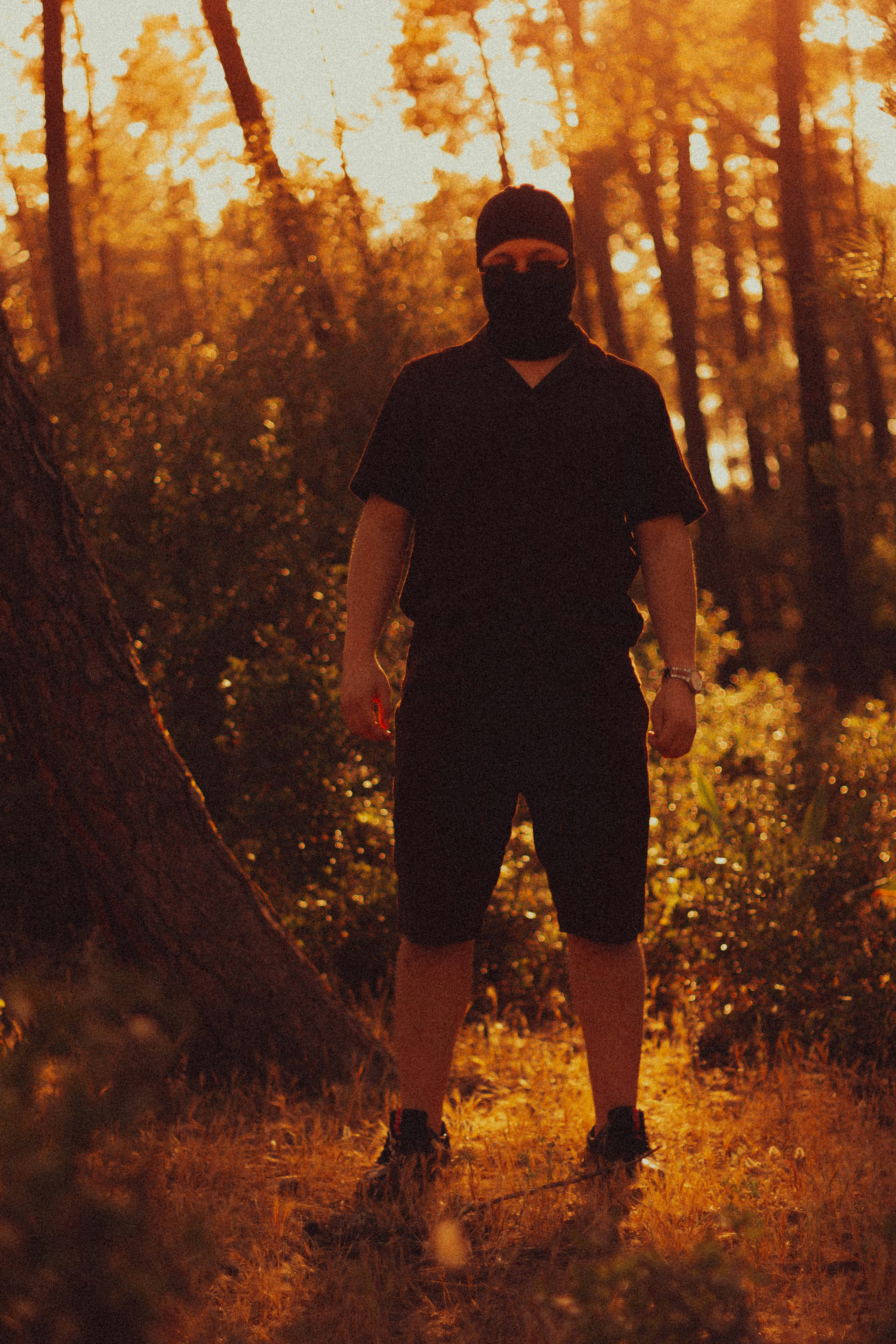 Shadowed Sentinel in the Amber Woods