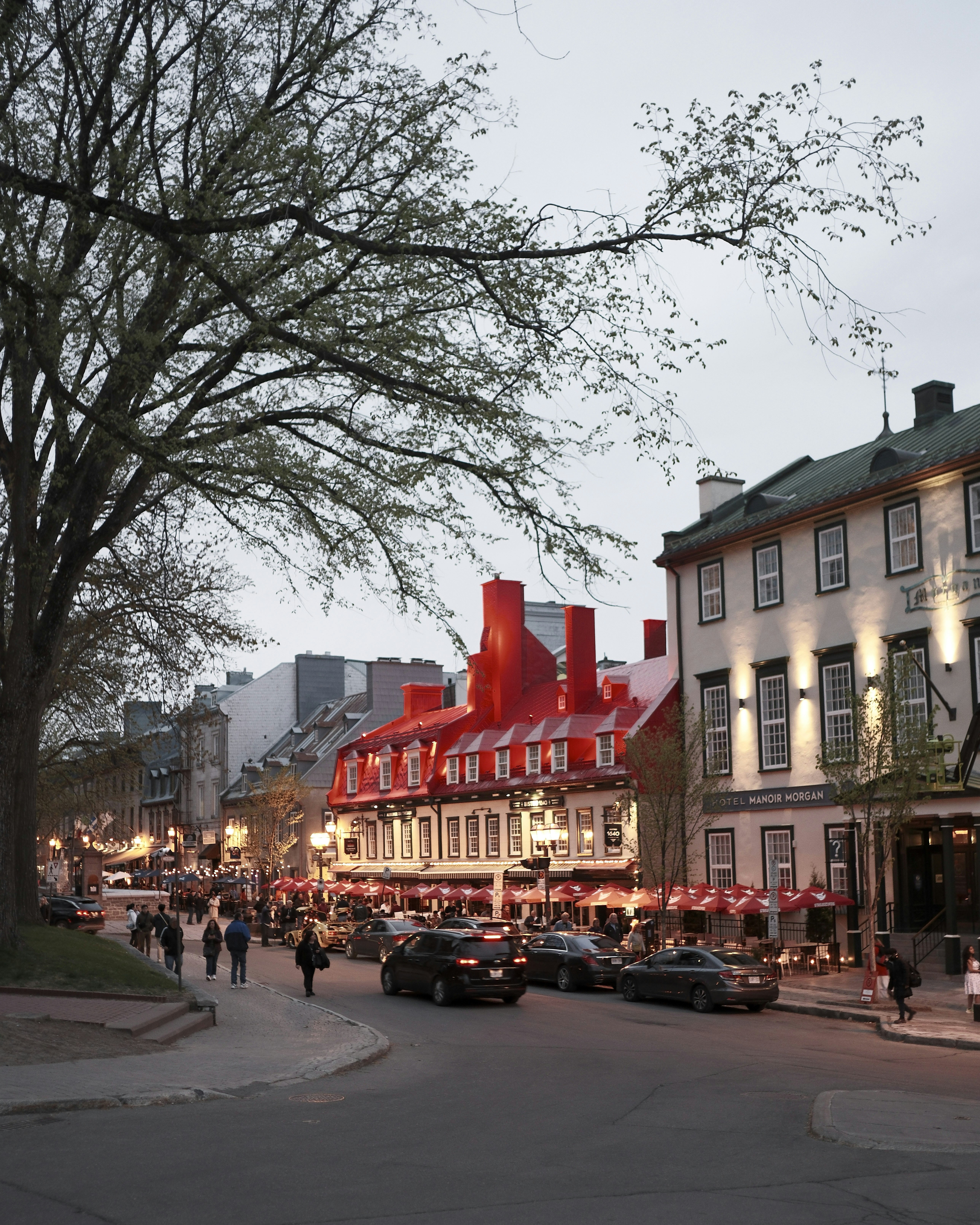 A vertical evening photograph captures a lively street scene in Quebec City beneath the spreading branches of a large tree. In the center, a historic building stands out with a striking, brightly lit red roof and matching red patio umbrellas along the sidewalk. Cars line the pavement while people walk along the illuminated walkways as twilight sets in. This photo was taken by Fujifilm xt5 with 23mm and no edit just fuji color, beautifully preserving the warm evening lights, bold red architecture, and natural city atmosphere.