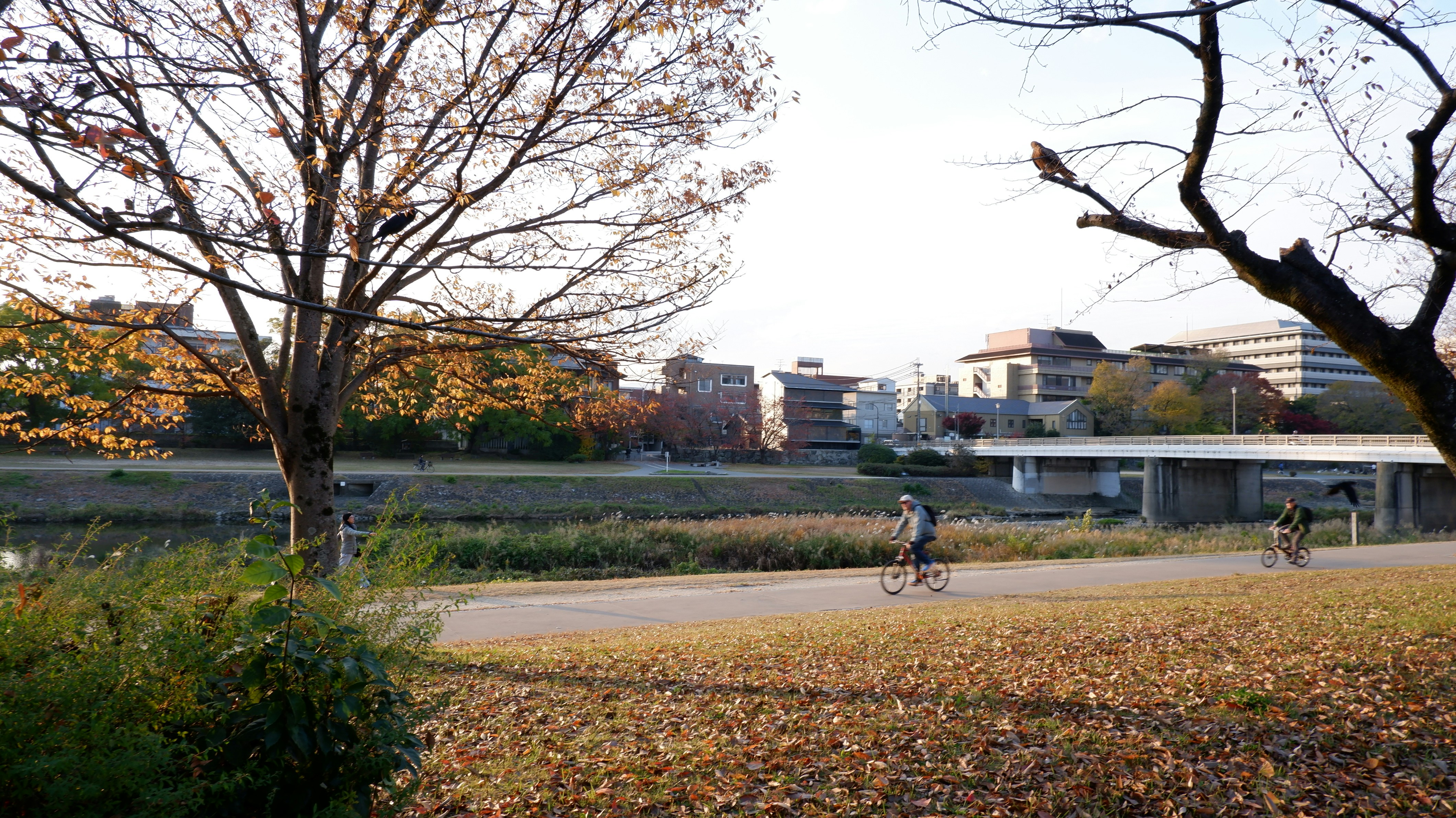 Autumn Ride Along the Riverside Path