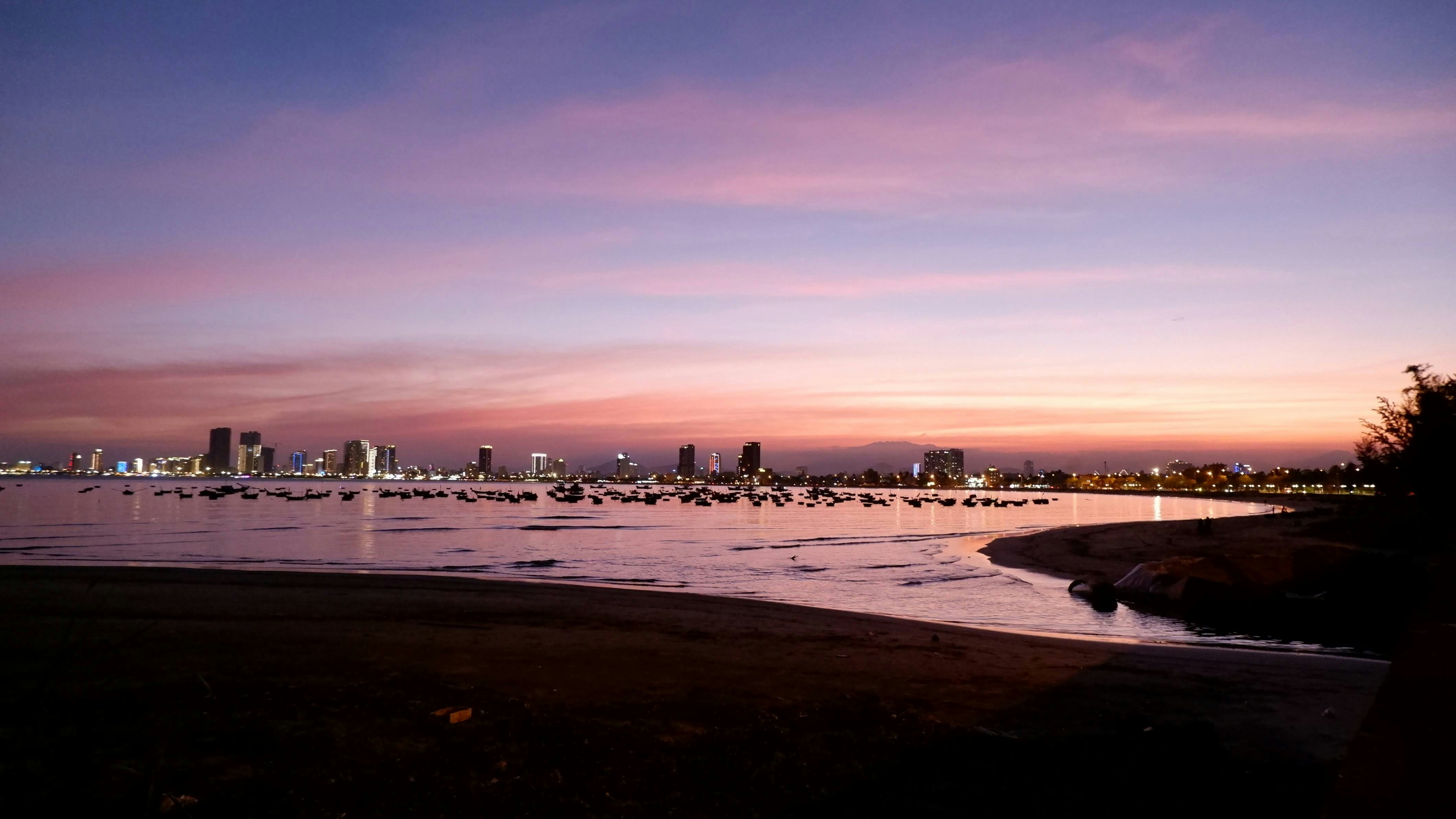 Dusk Over the Harbor: City Lights Meet a Quiet Shoreline