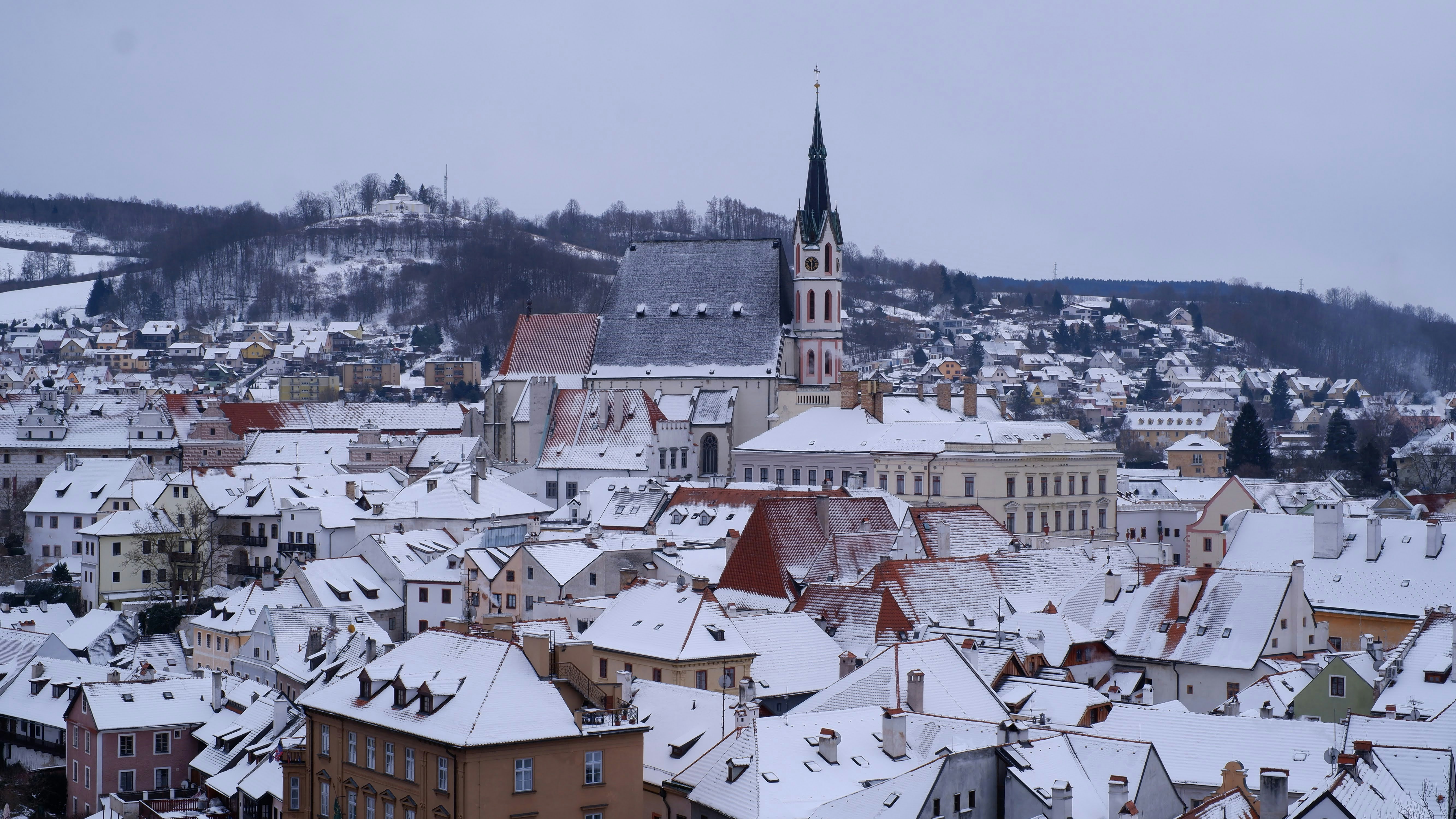 Snowbound Village Beneath a Steepled Horizon