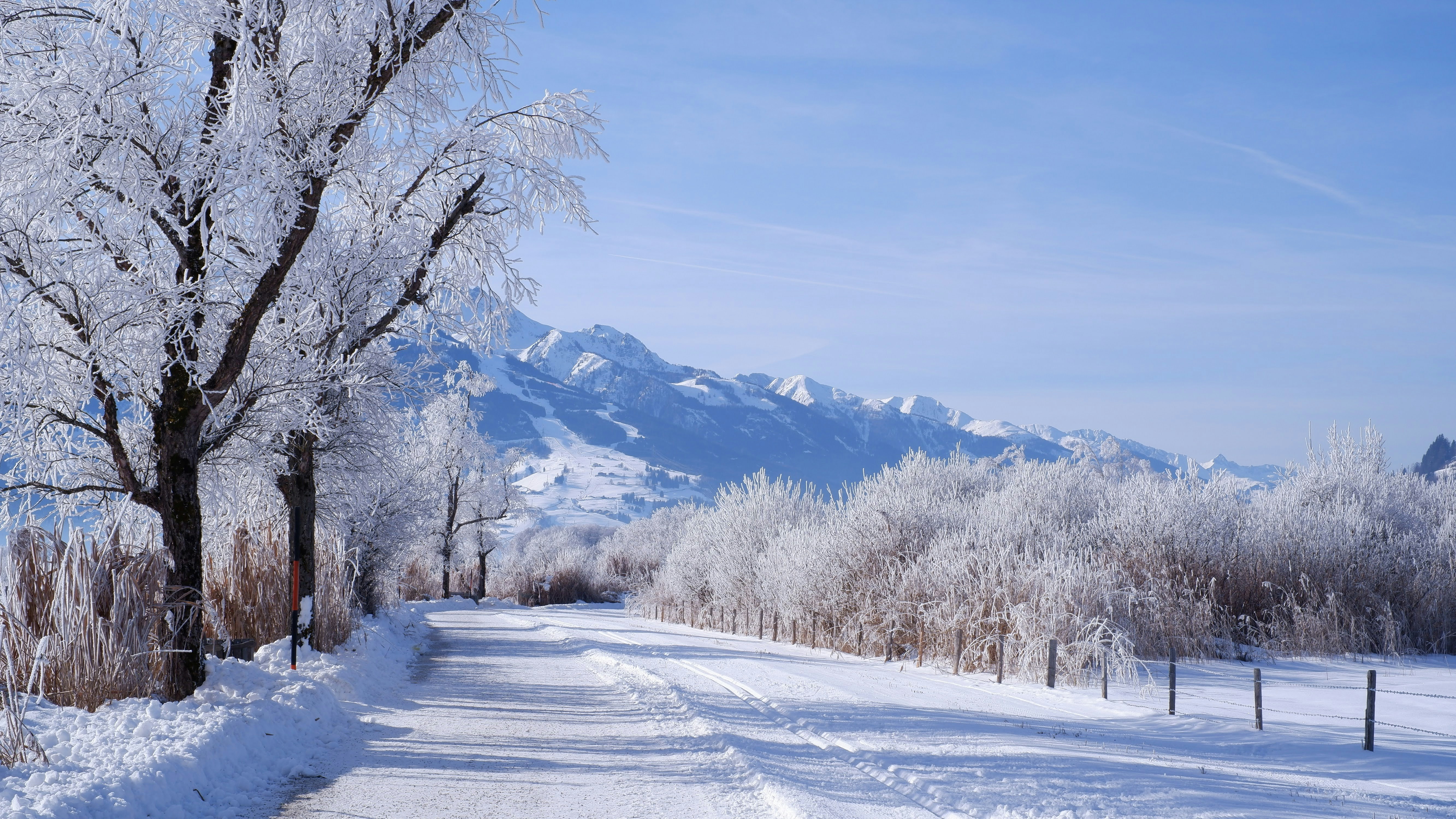 Snowbound Boulevard Toward the Snowcapped Horizon