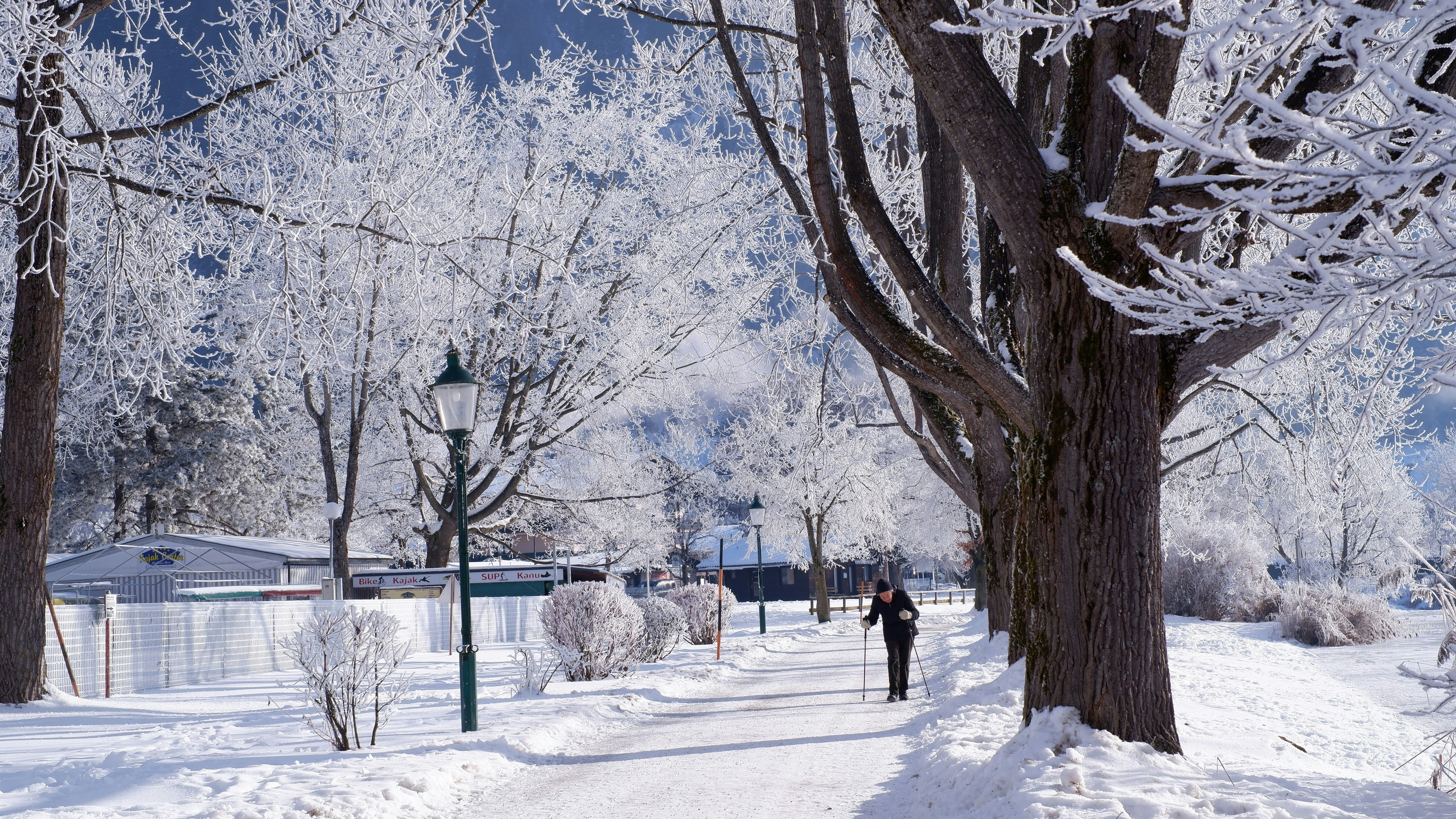 Snow-Cleared Lane with Distant Figure in Frosted Park