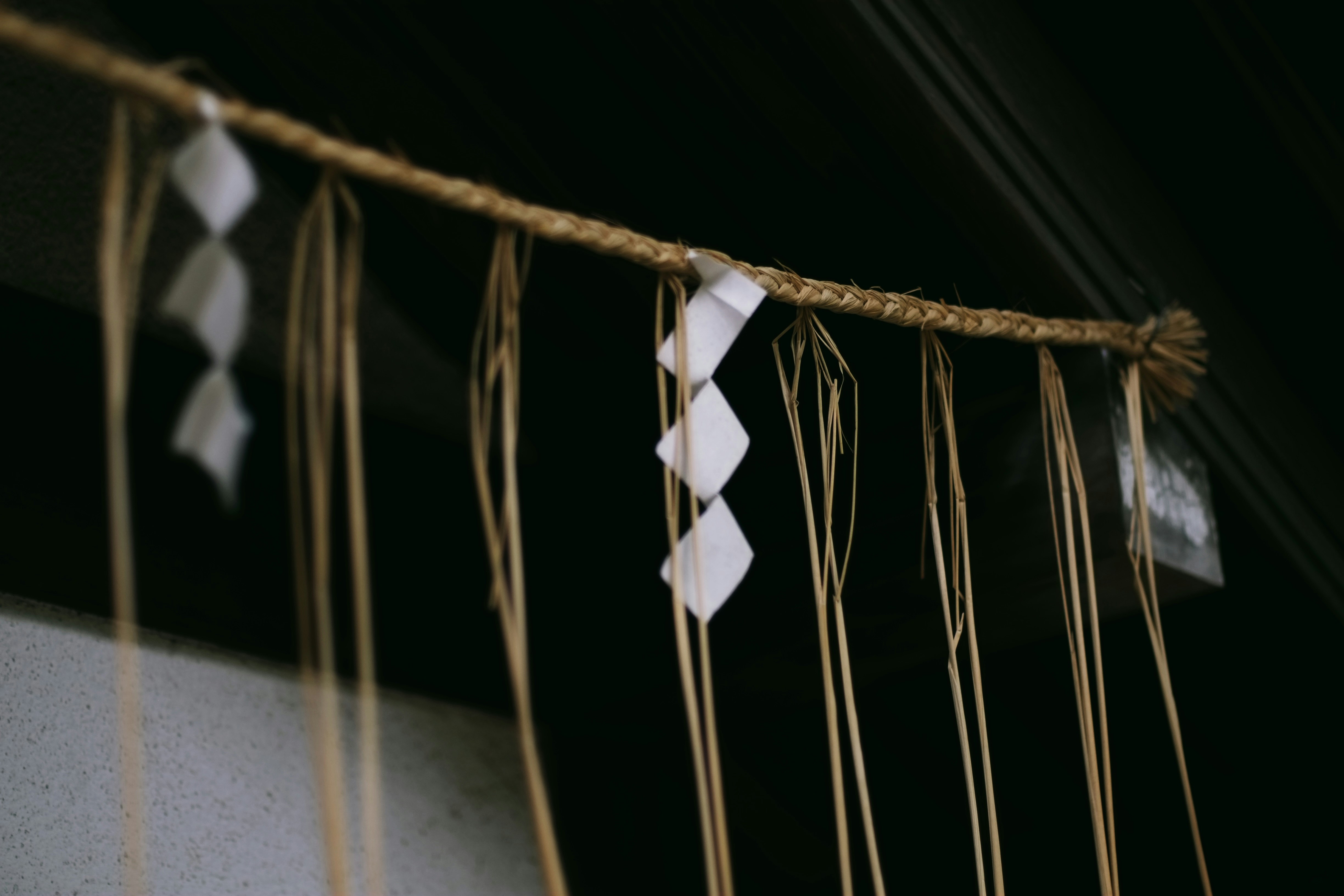 Rope and Shide: A Quiet Moment Under Dim Neon
