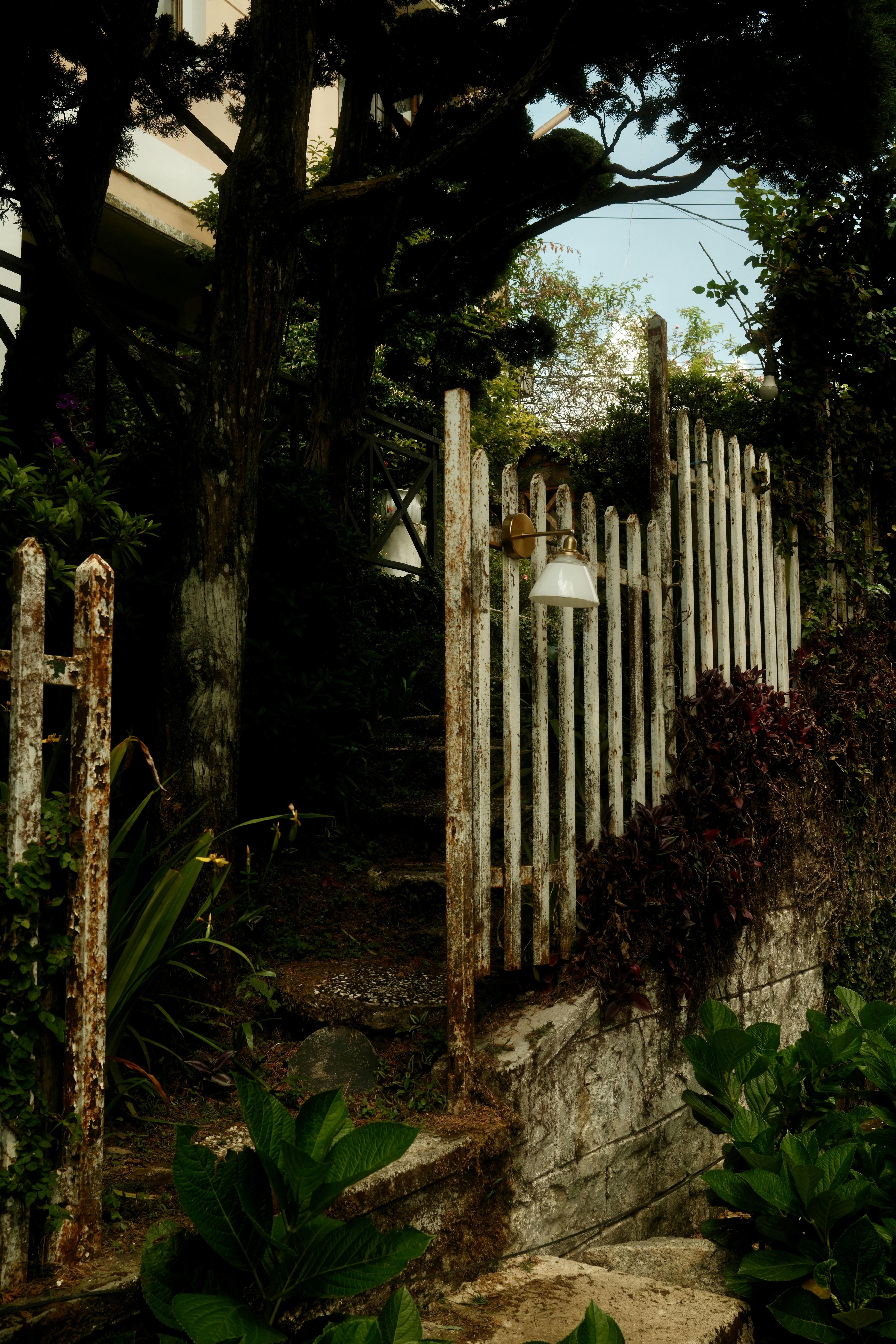 Rust and Shade: A Garden Gate Framed by Weathered Pickets