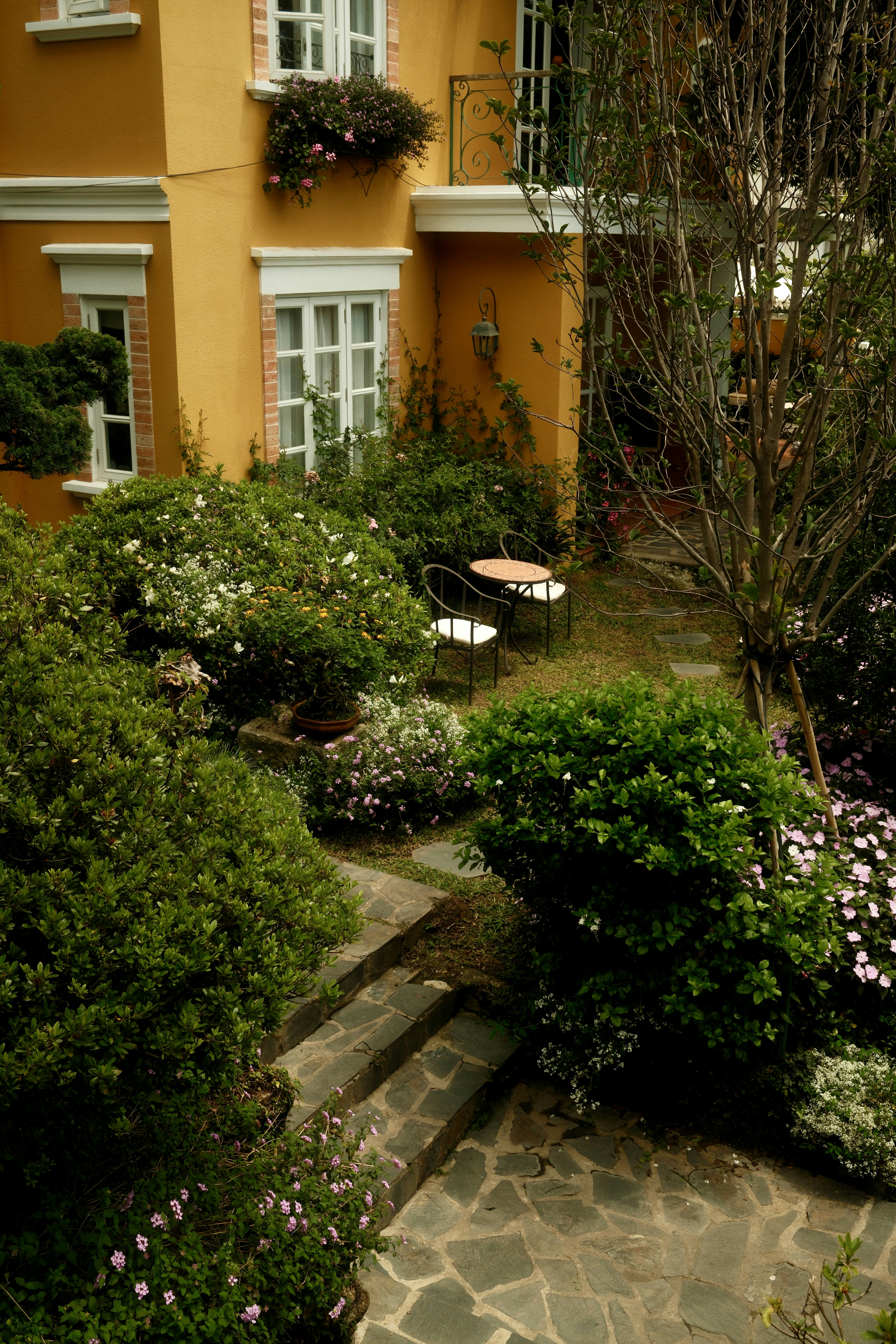 Sunny courtyard via yellow villa: a lush garden of blooming shrubs and stone path