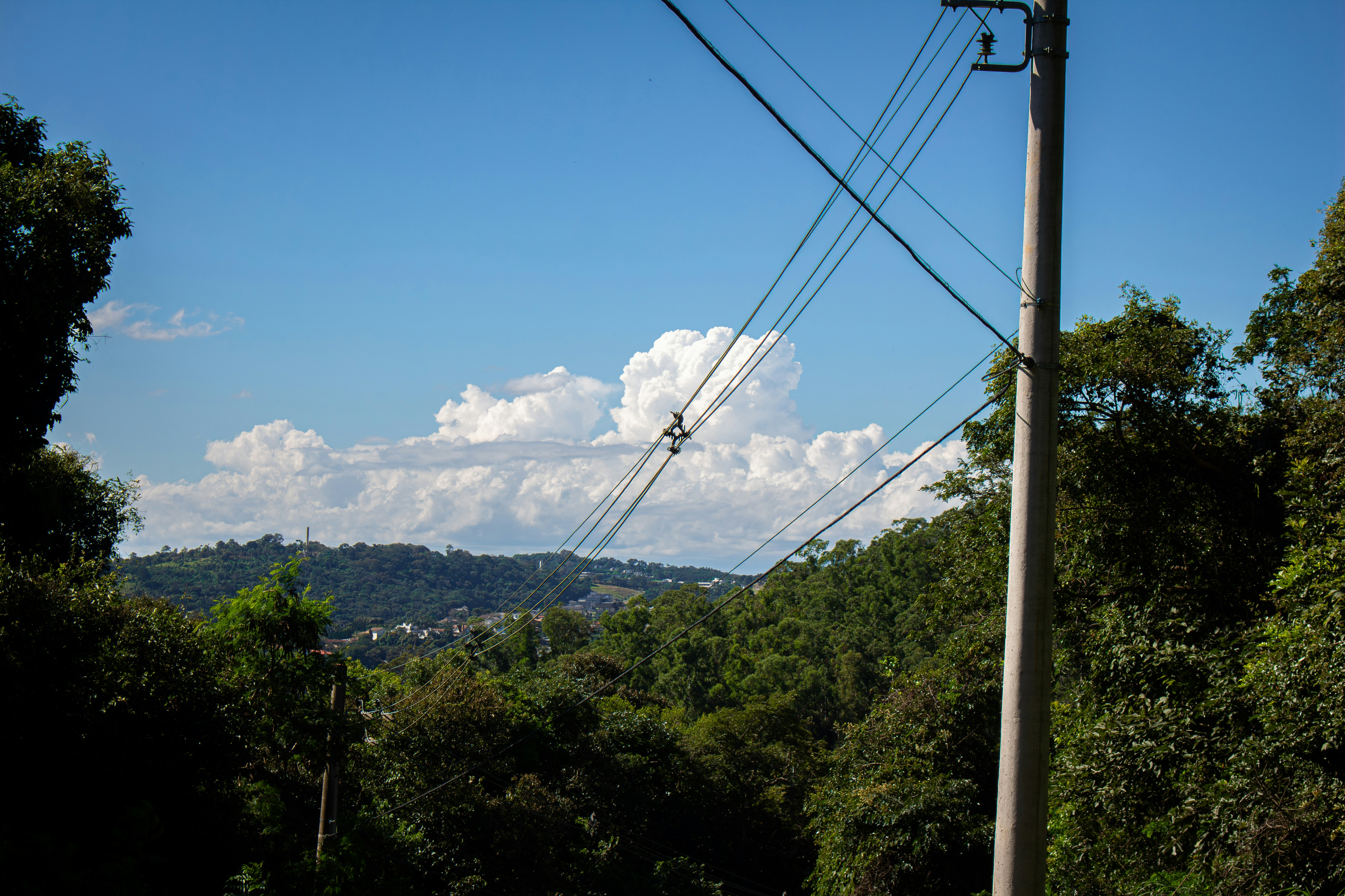 Overhead Lines Crossing a Quiet Landscape