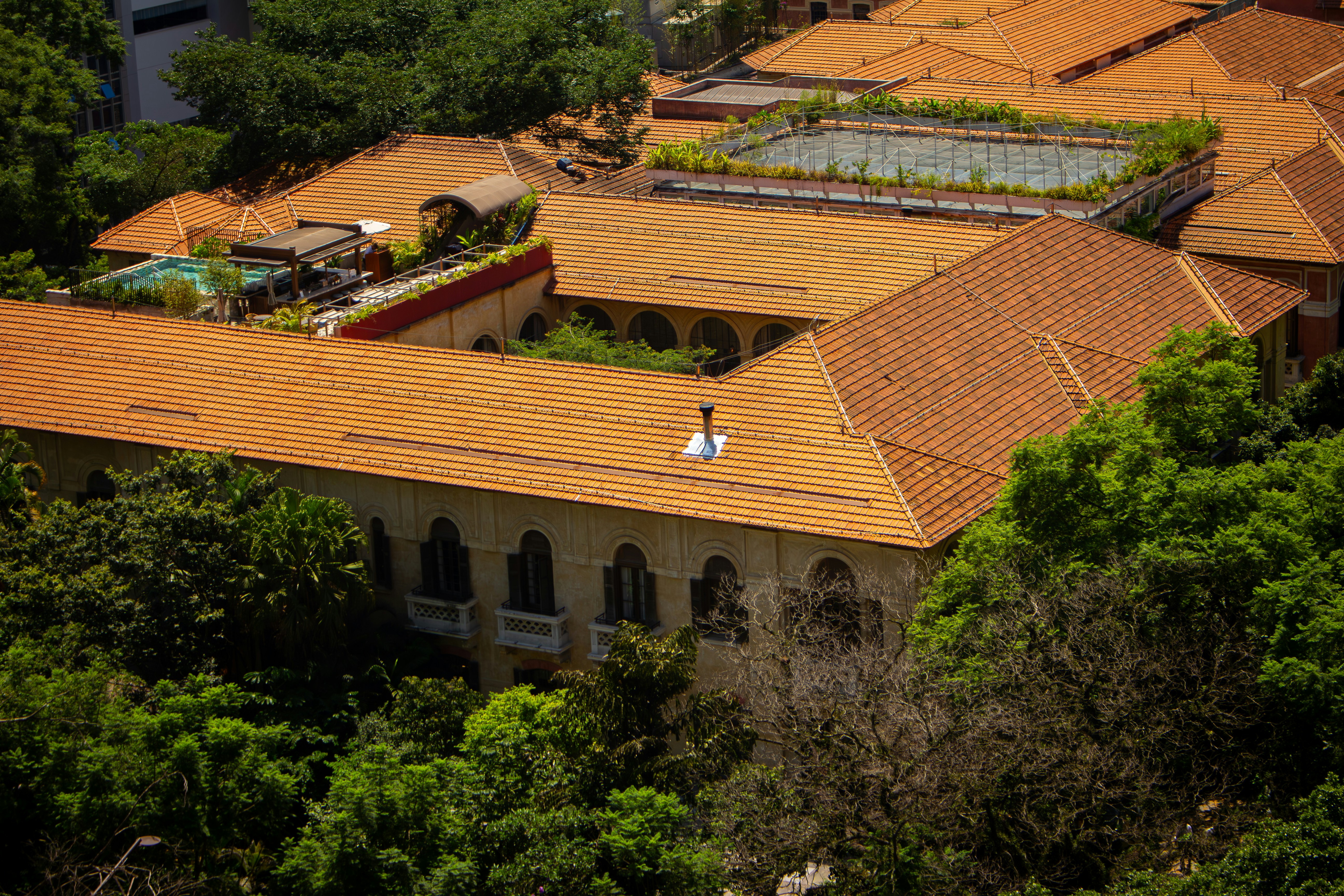 Terracotta Roofs Overlooking a Lush Courtyard