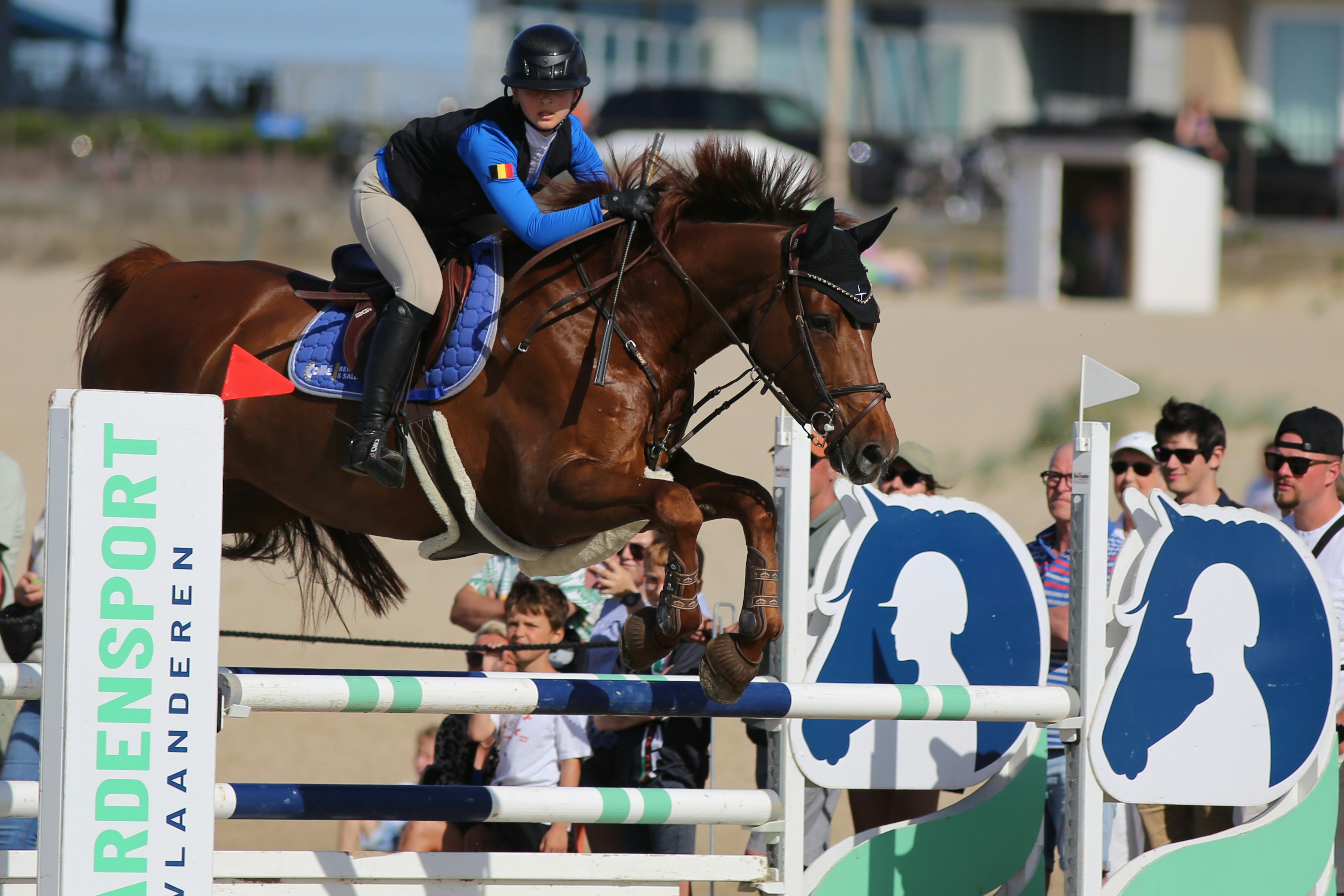 Leap of Focus: Rider and Horse Clears the Barrier at a Competitive Show Jump