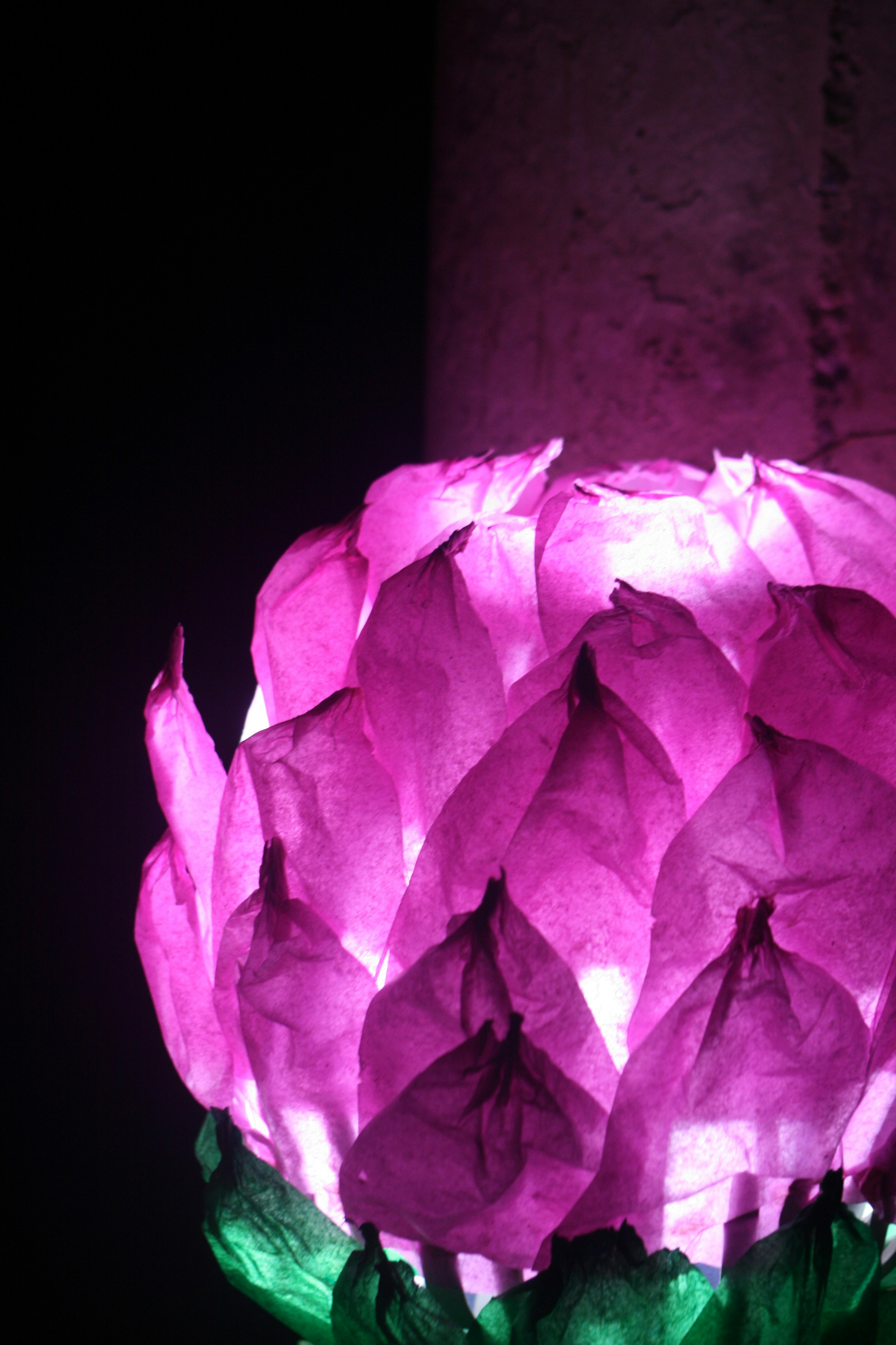 Glow of a Neon Bloom: A Close-Up of Pink Petals