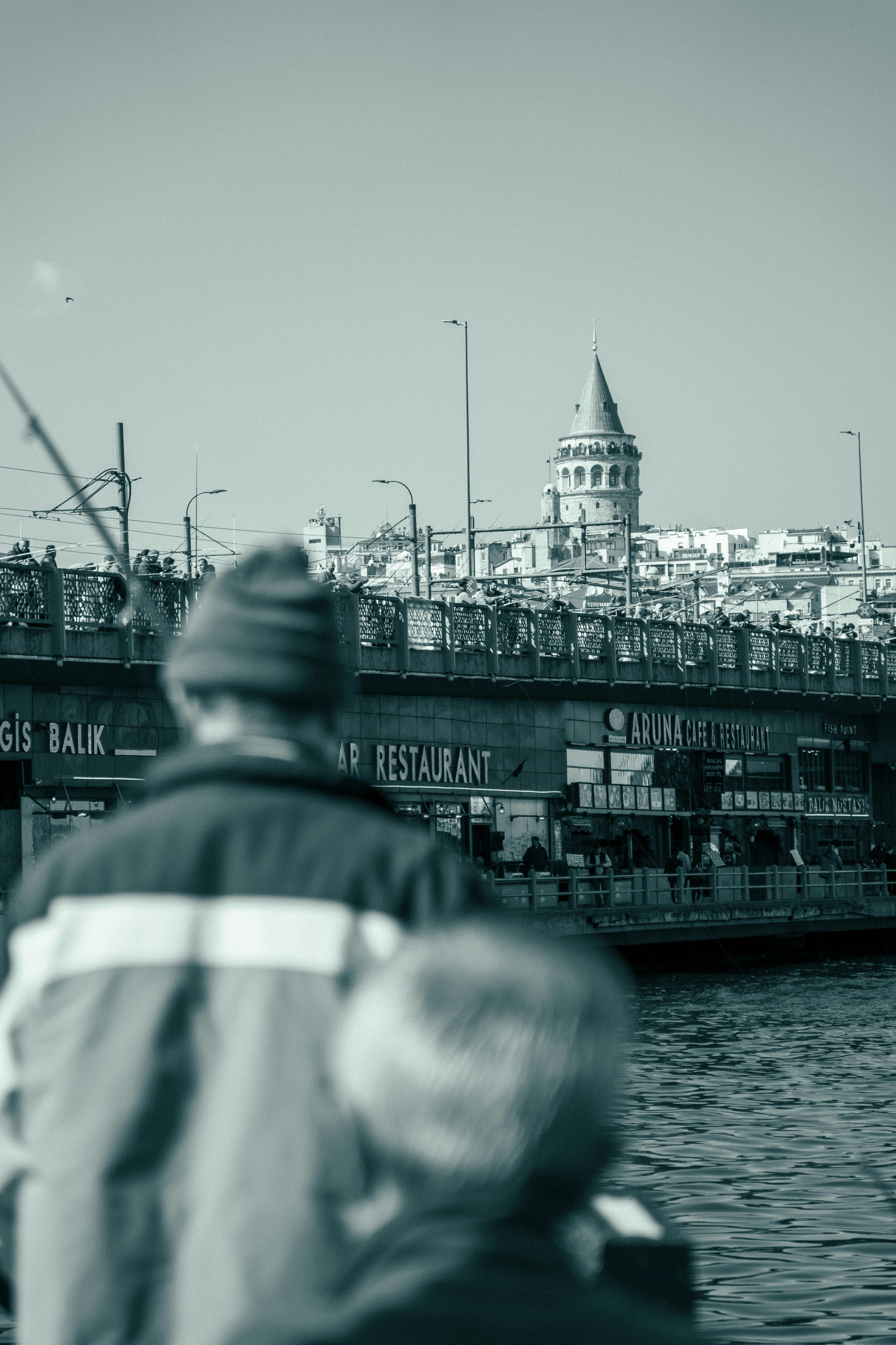 Riverside Snapshot: A Misted Cityscape Framed by a Blurred Foreground