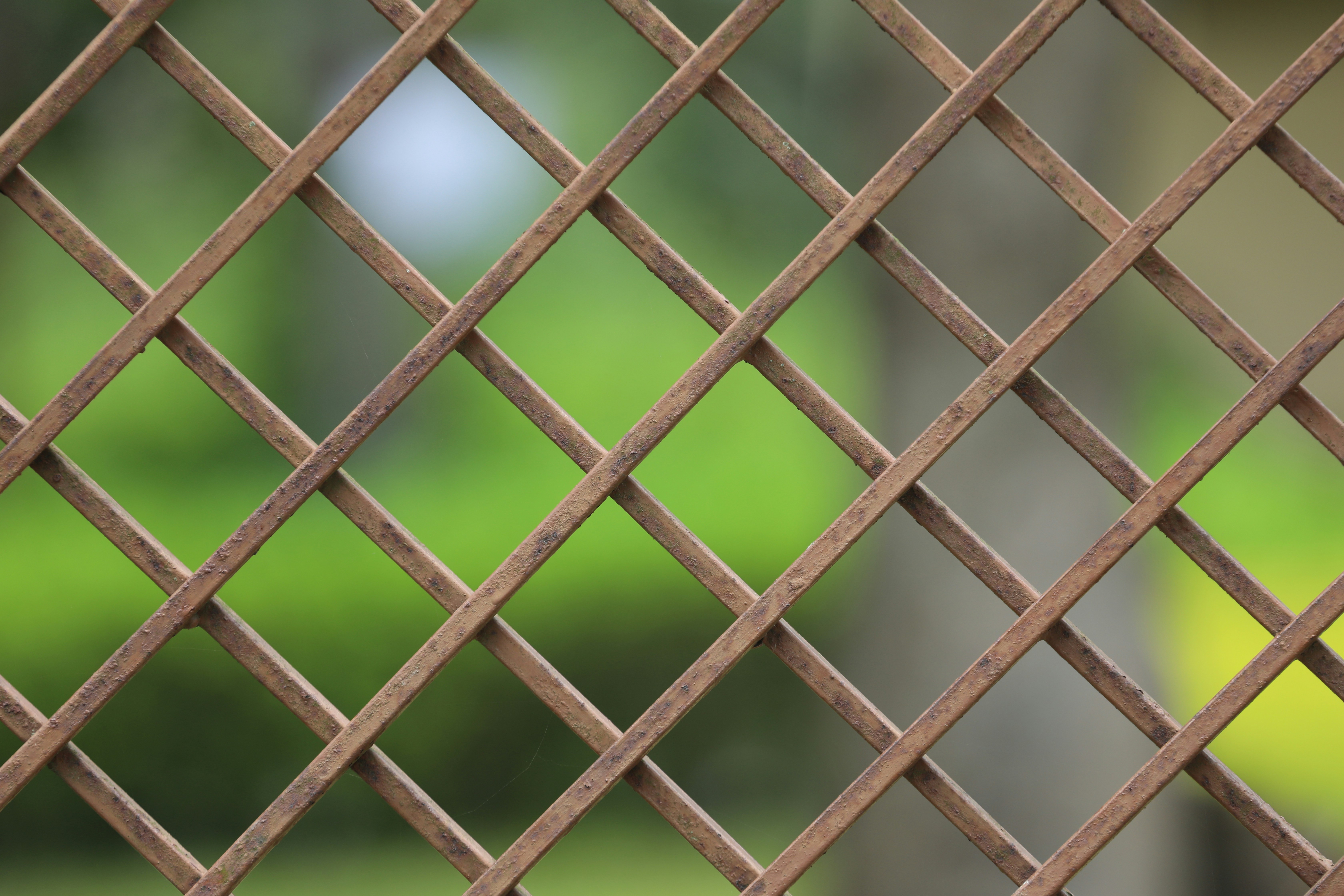 Crisscross of Rust: A Lattice Close-Up