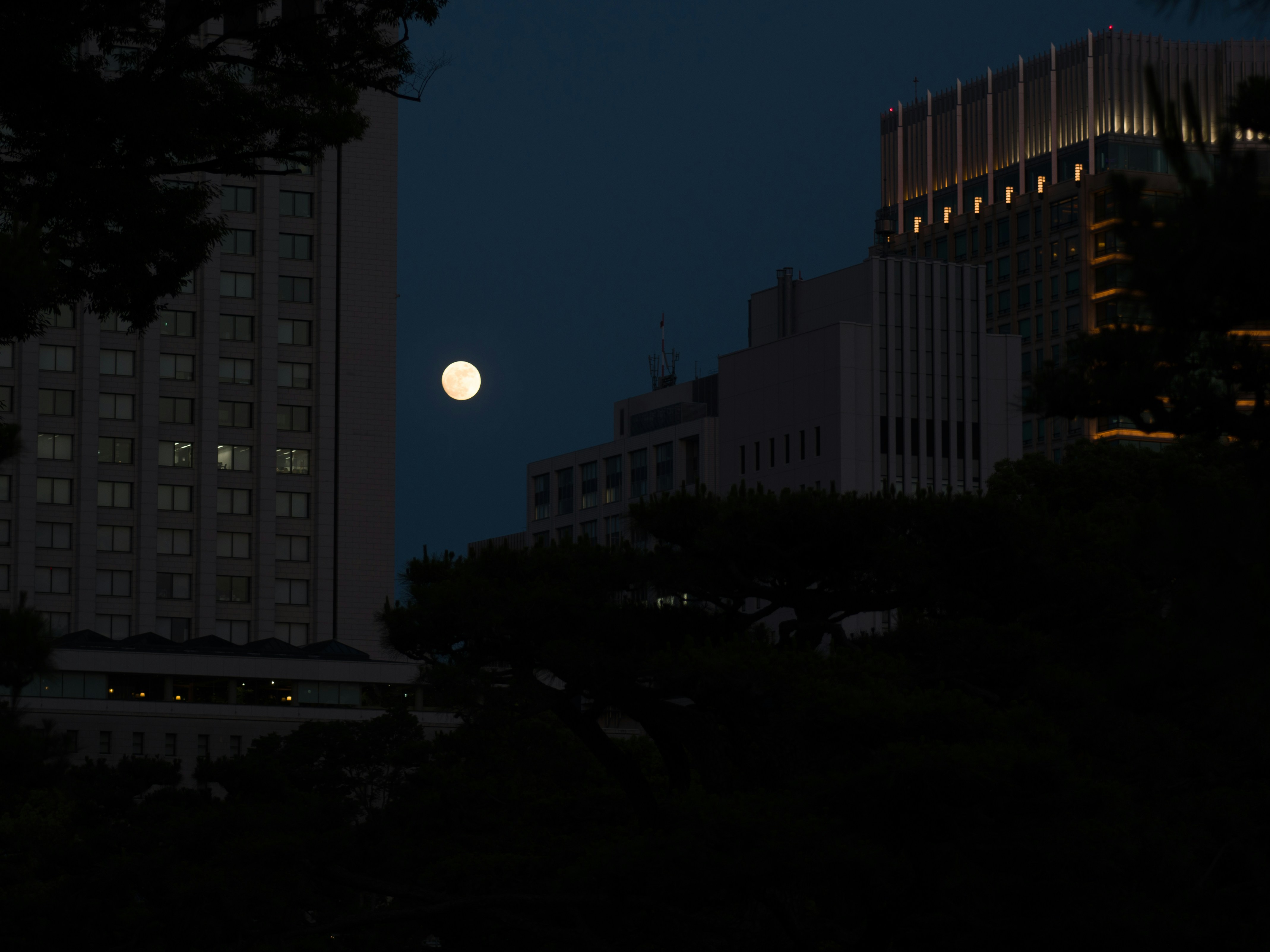 Moonlit Urban Silhouette Over Quiet Skyline