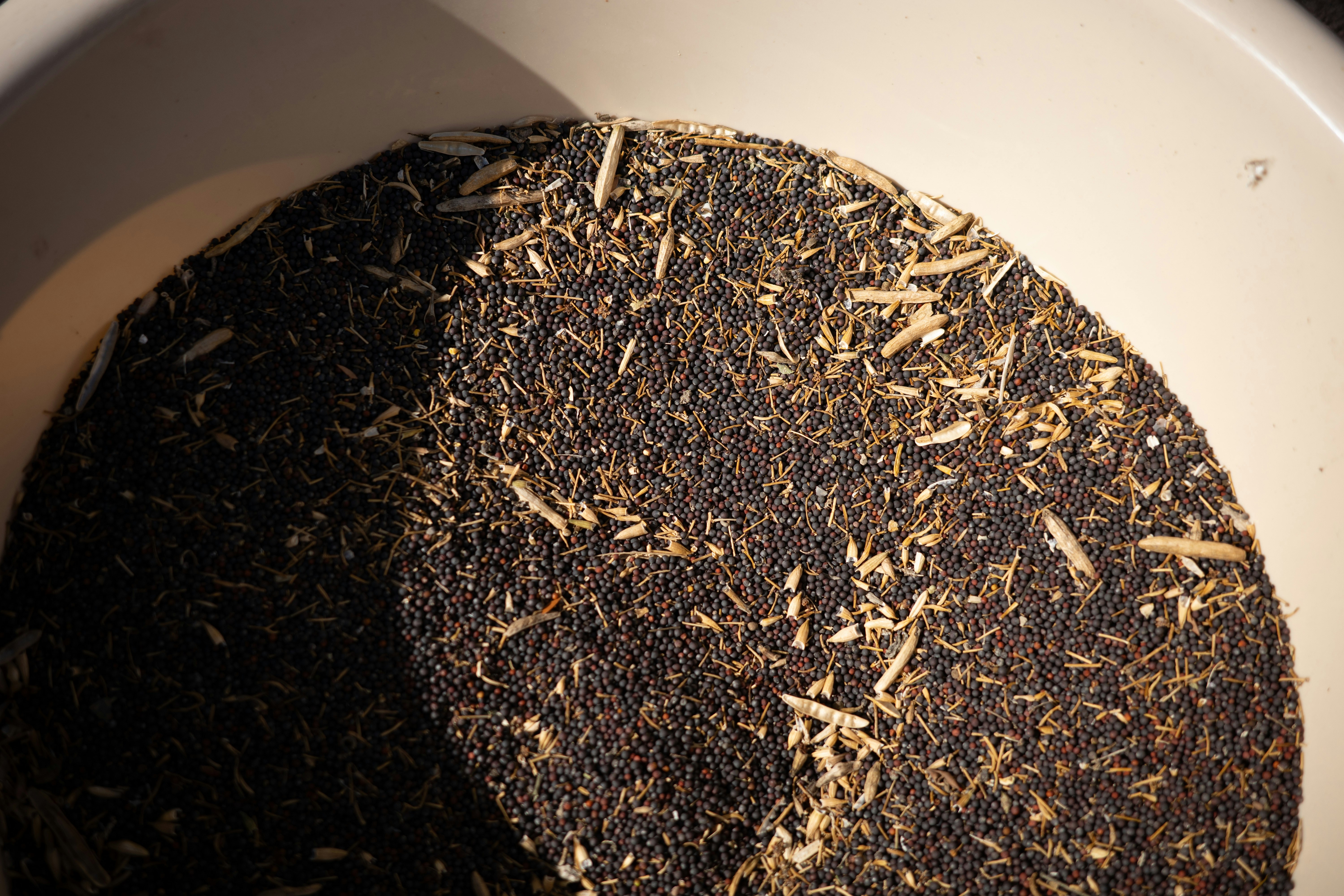 Coiled Soil Texture Under Close-Up Dome