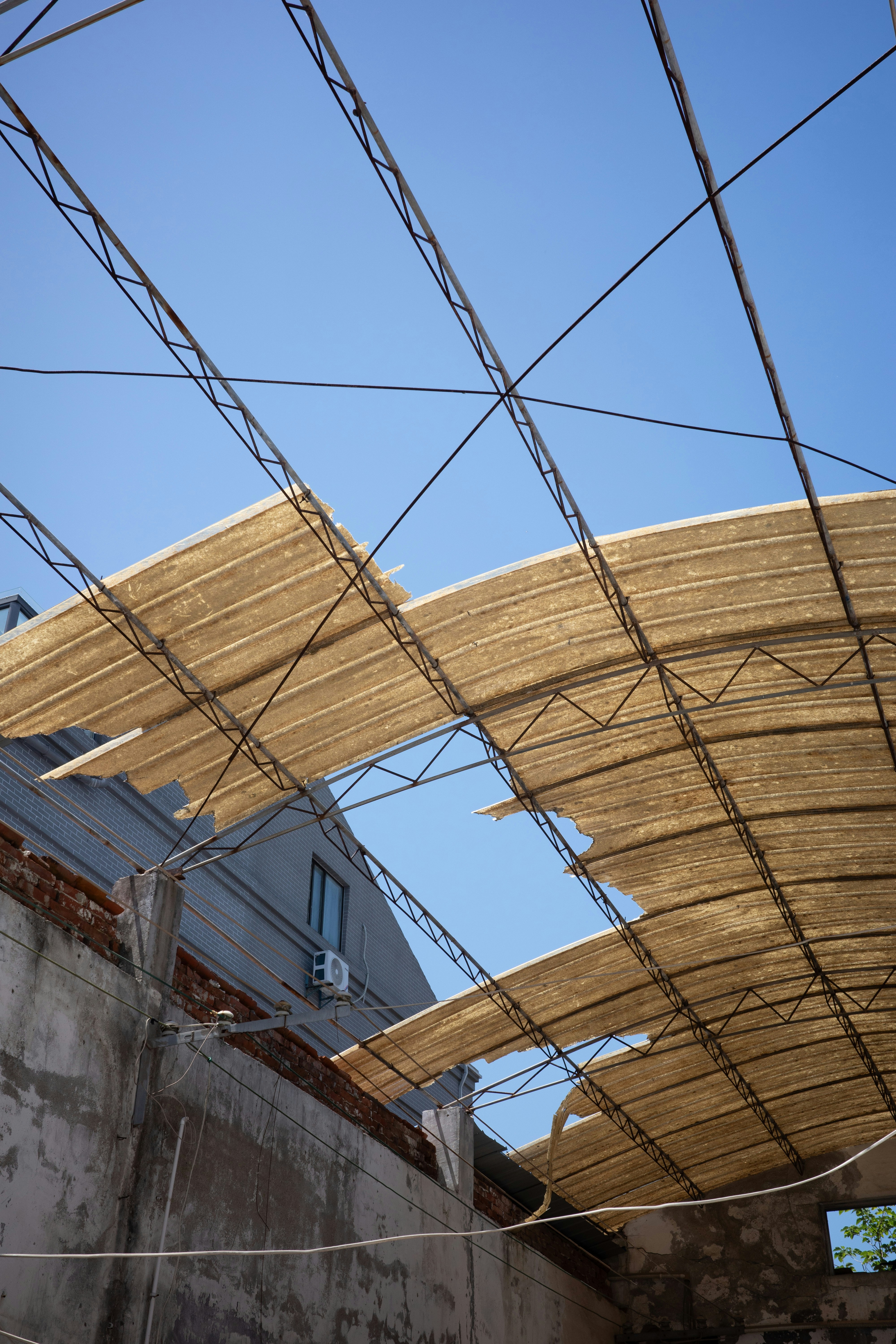 Scarred Canopy Over an Urban Facade