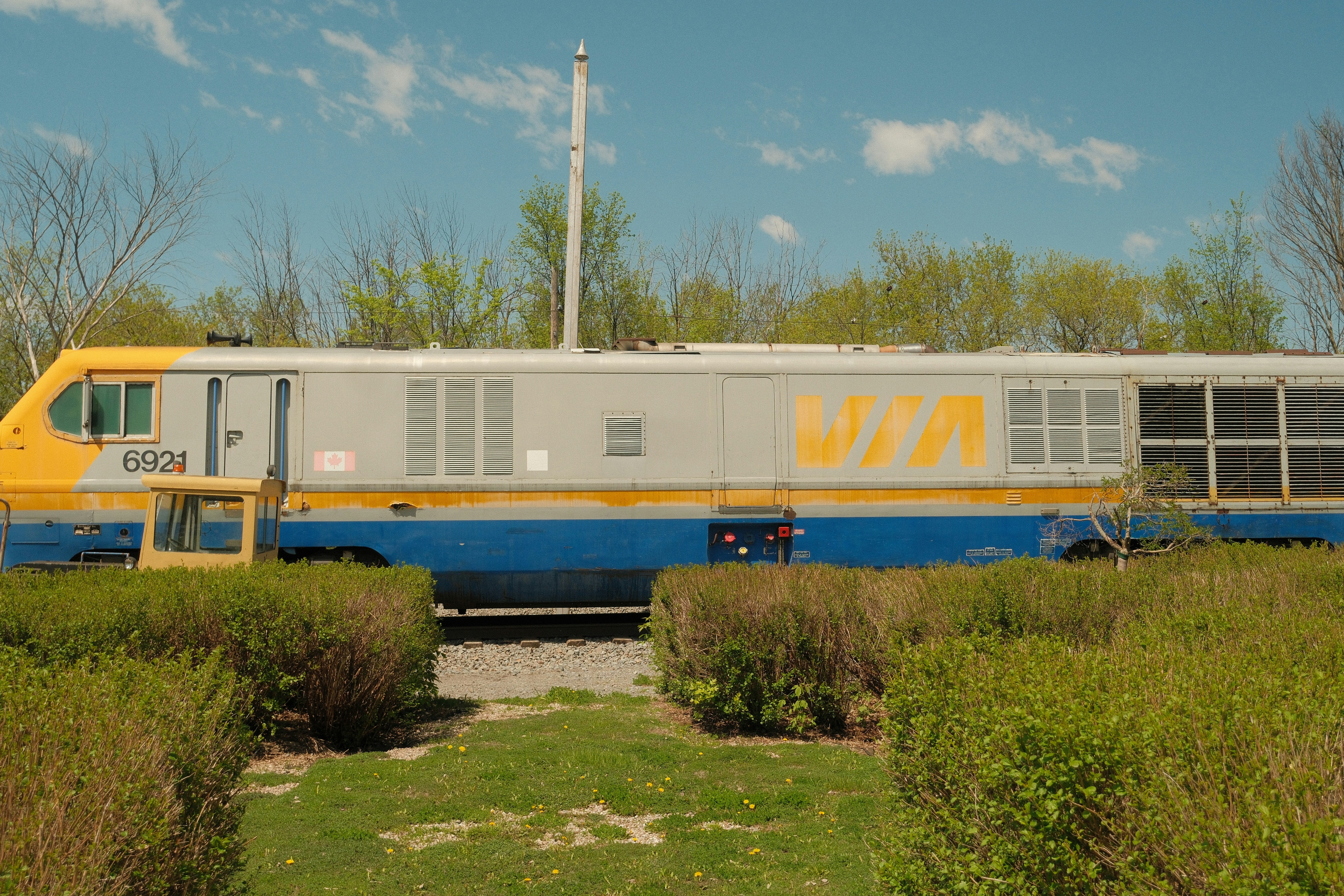 Locomotive in Quiet Railfront: A Side View with Vivid Branding
