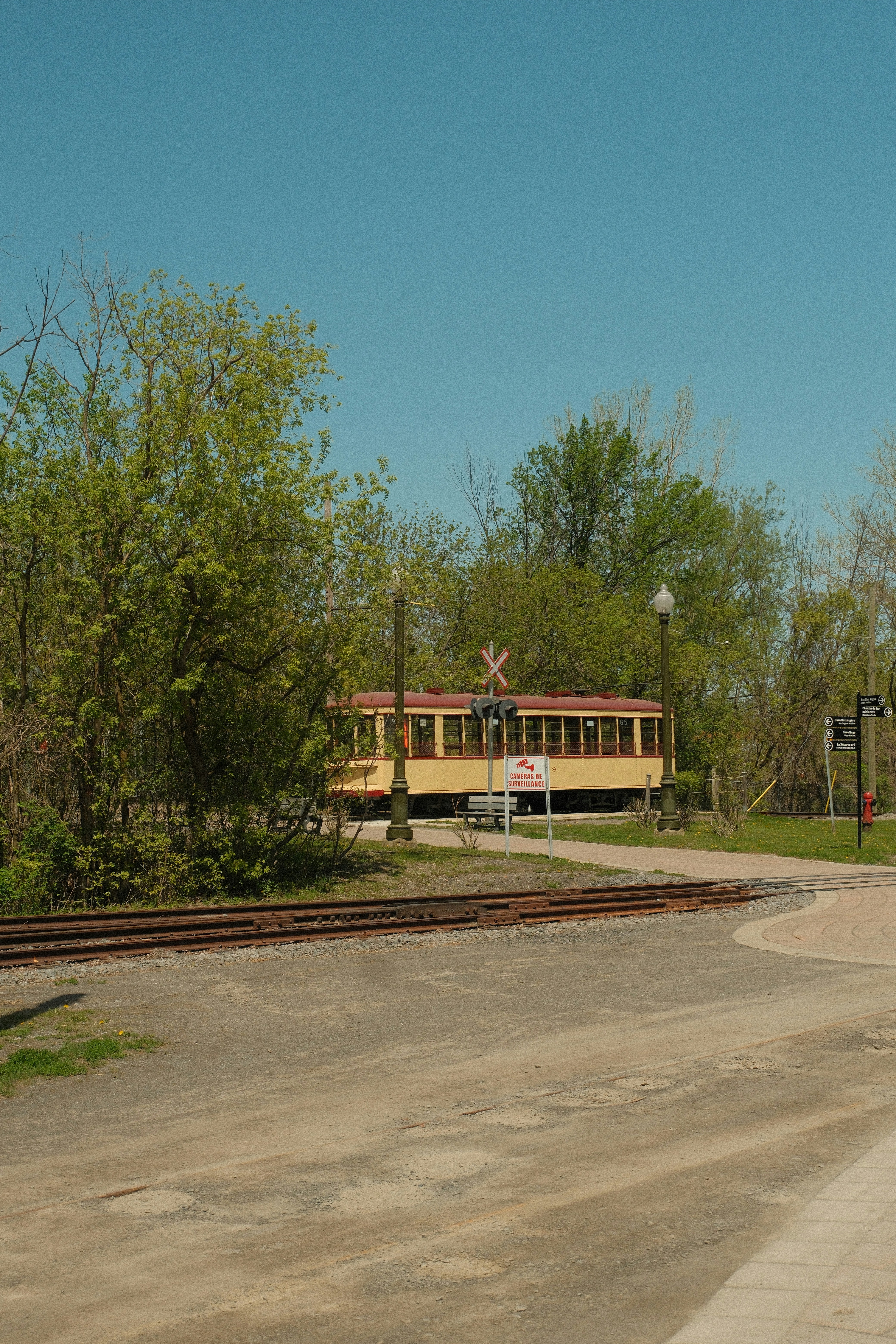 Old Tram at the Edge of Spring