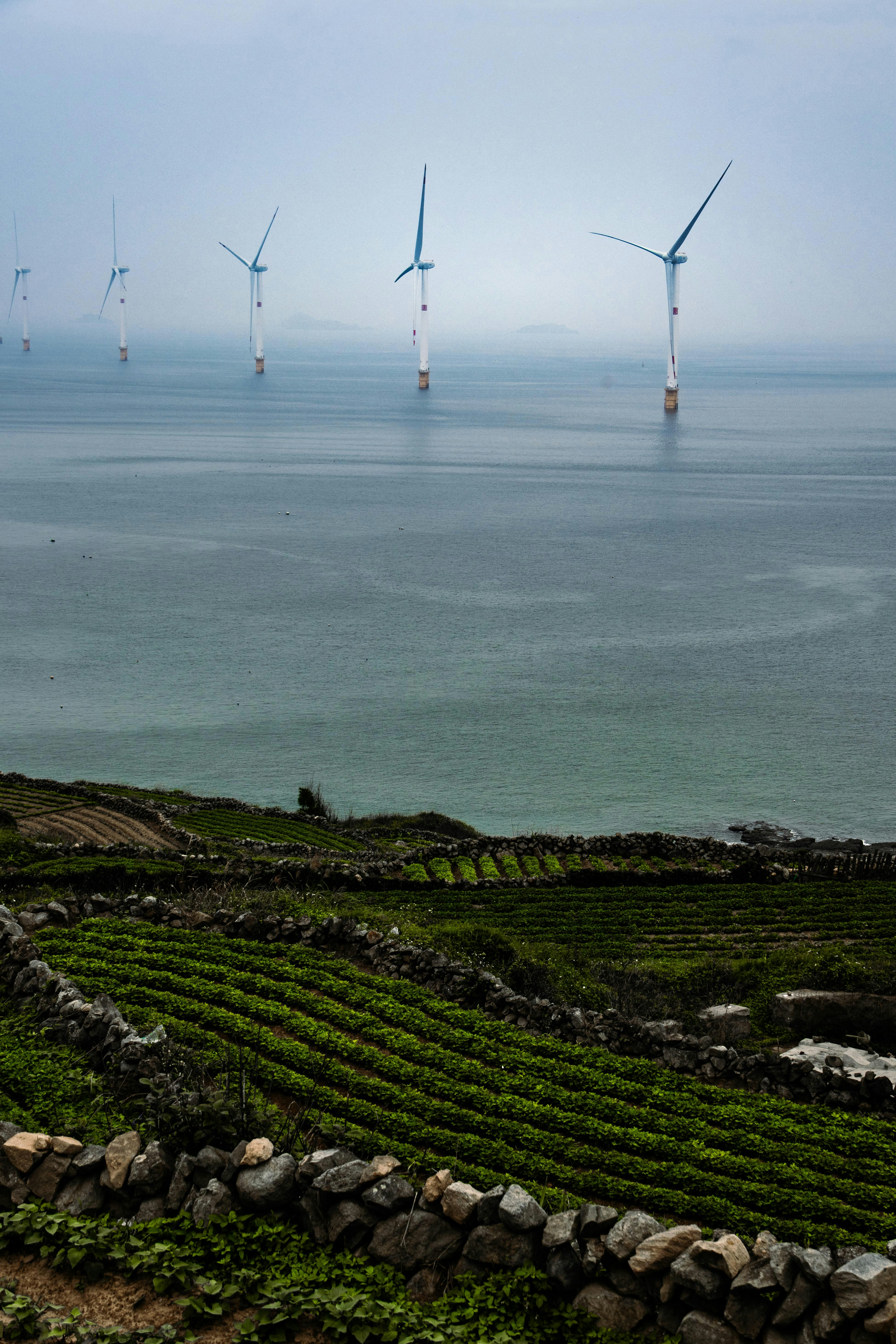 Vast Ocean Wind Farm: Terraced Greens Meet Turbines