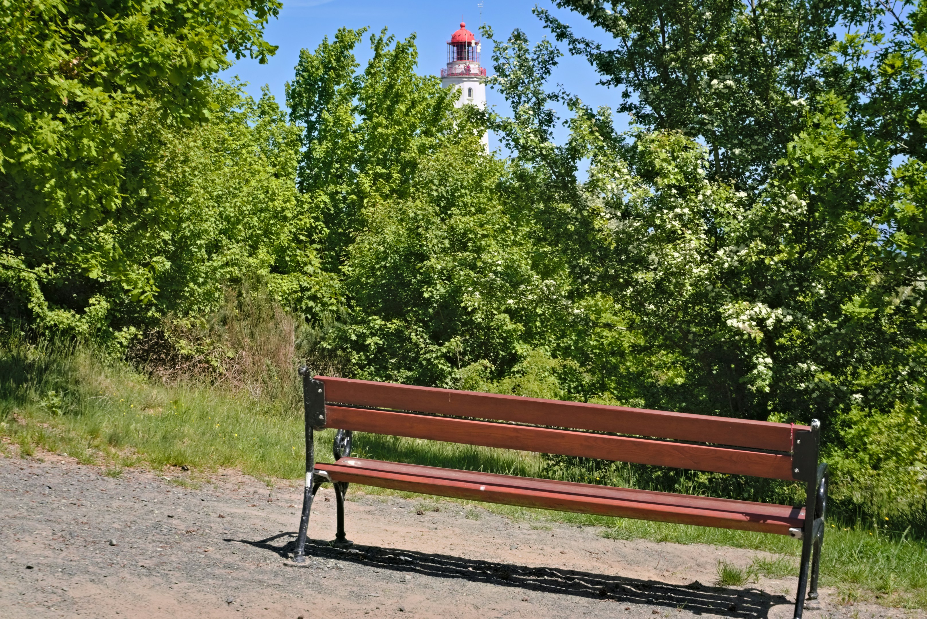 Solitary Red-Brown Bench Under Verdant Canopy with Lighthouse in the Distance