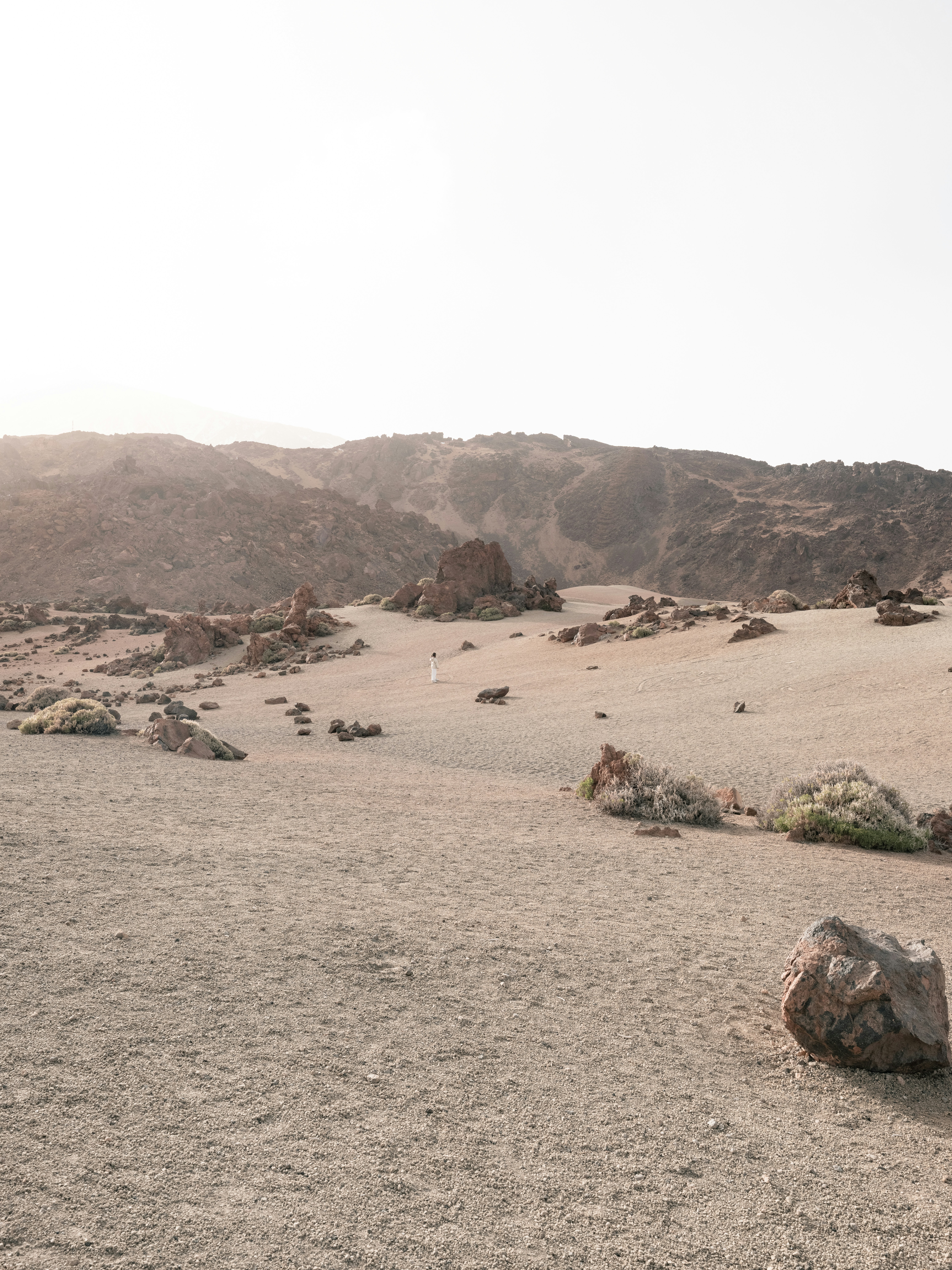 Desert Fold: Lone Figure Amidst Bleached Rockscape