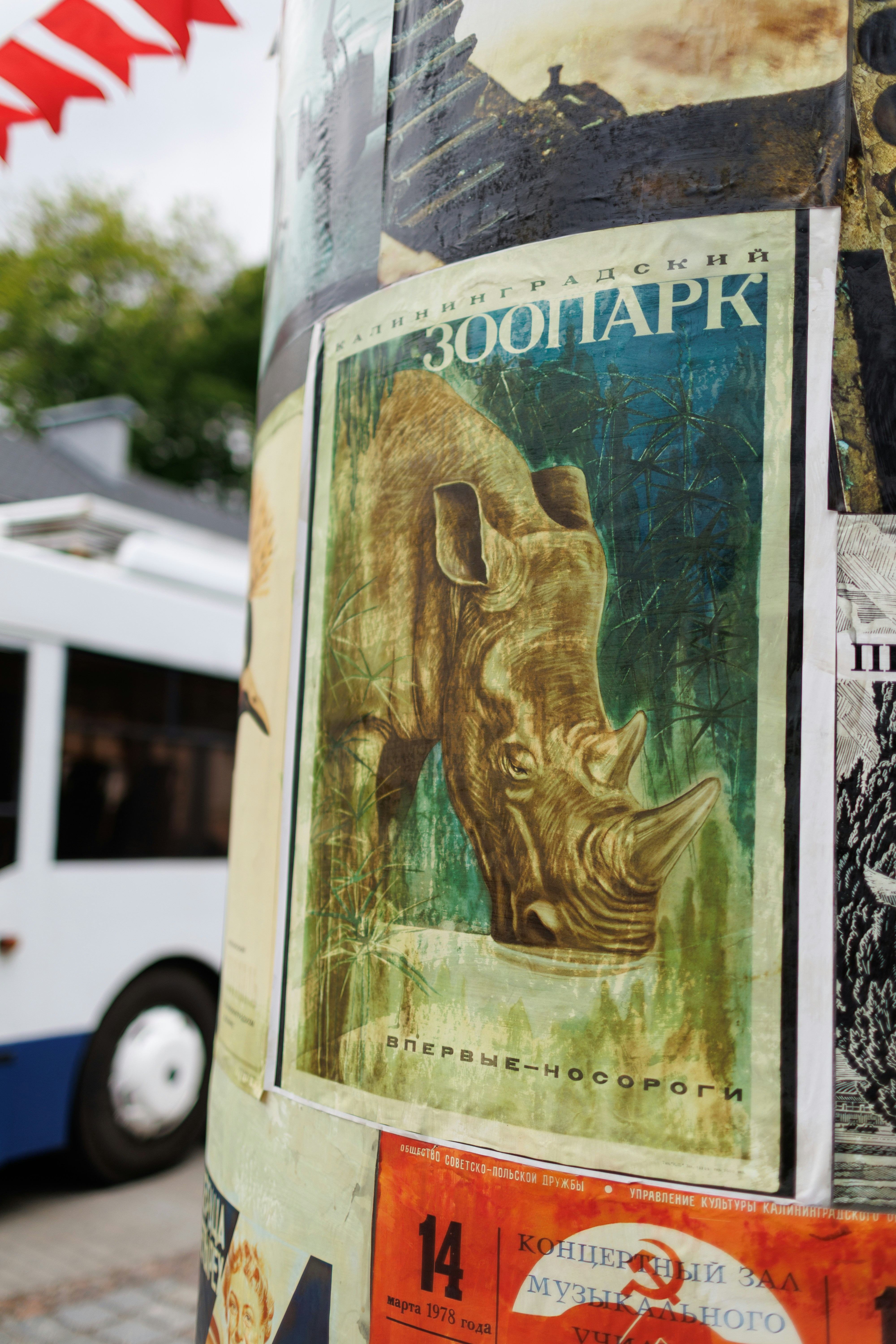 Poster of a rhinoceros on a cylindrical pillar in a street scene; a white bus and blurred background framing the sticker collage.