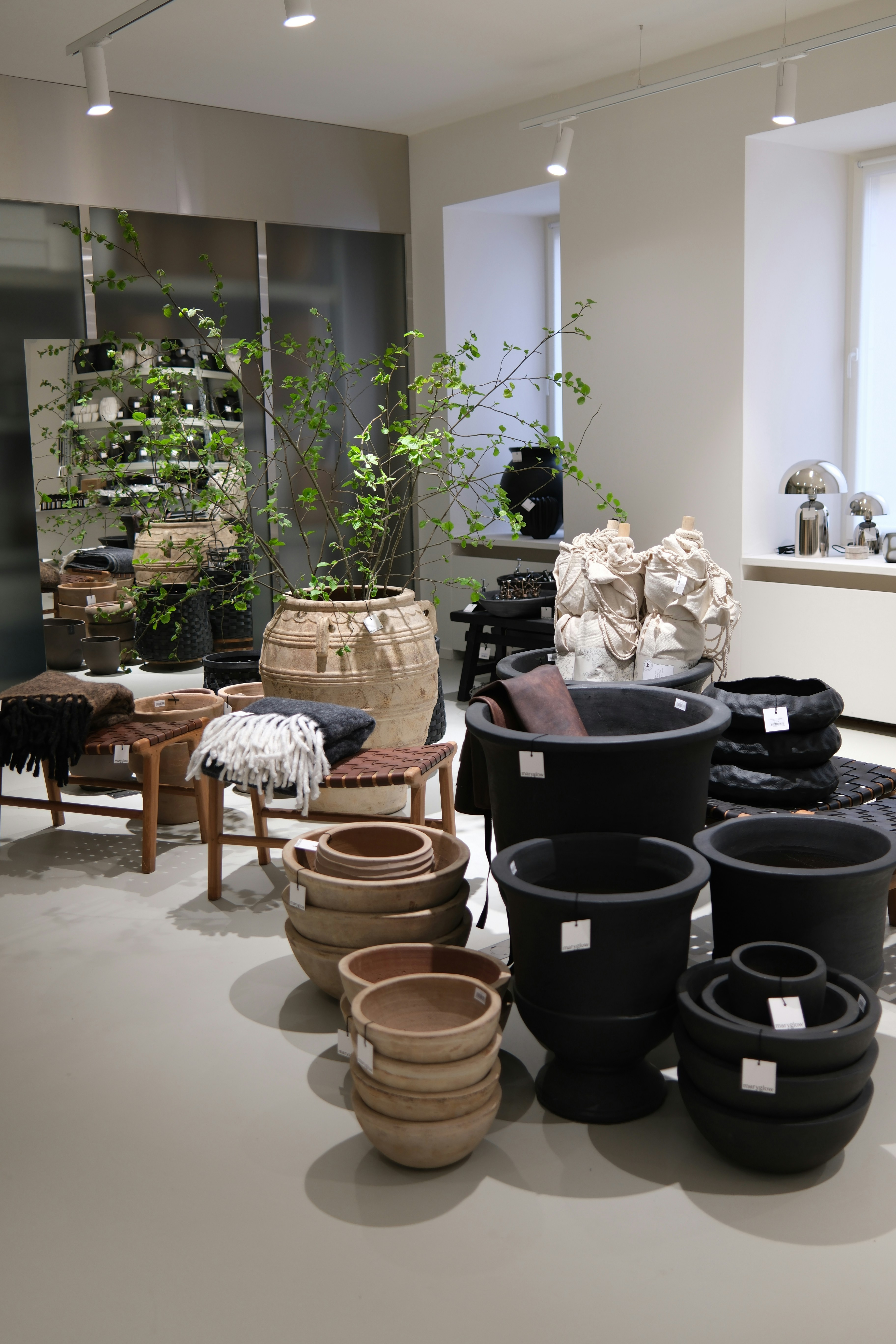 Verdant Gallery: Ceramic Pots and Plant Centerpiece