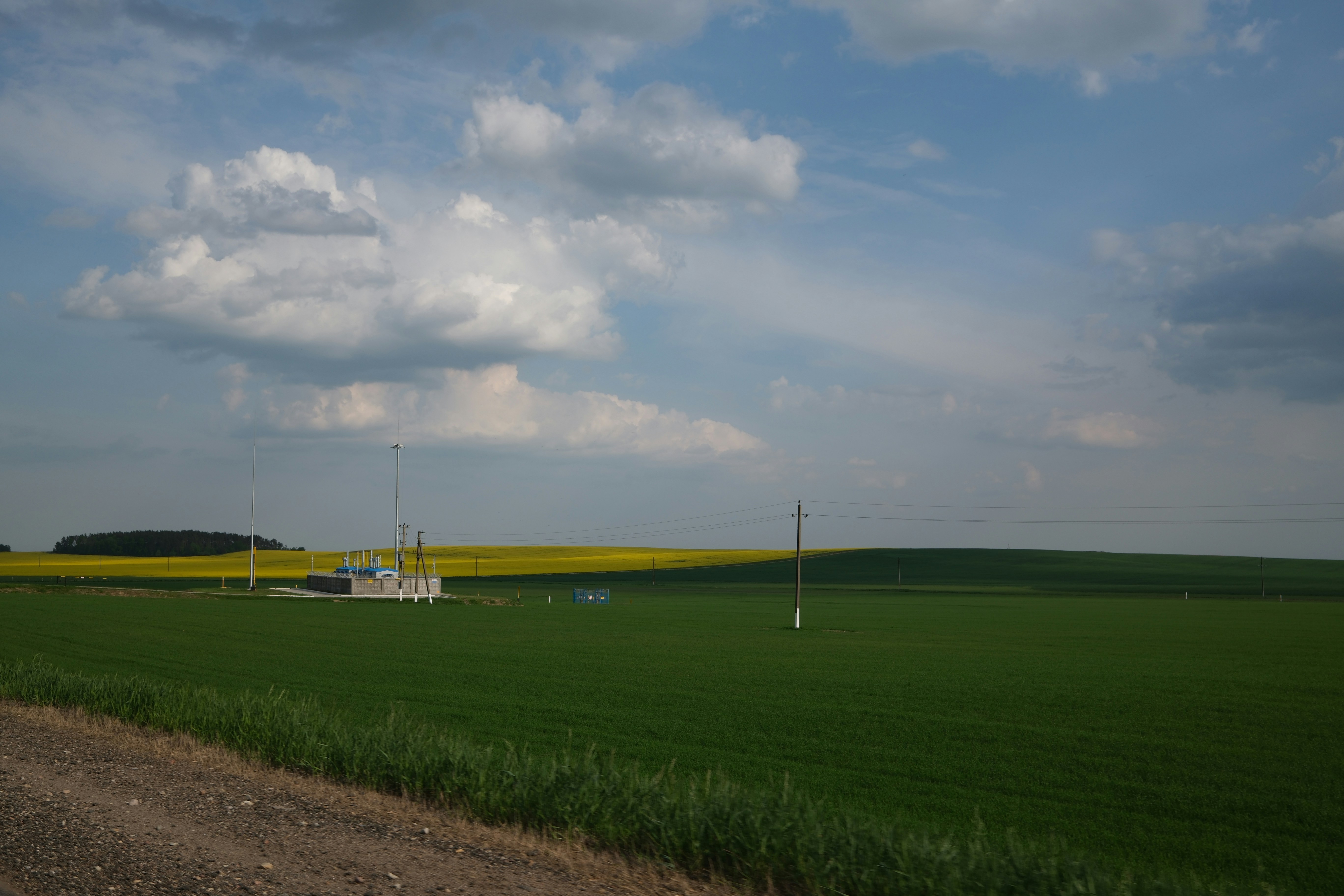 Expansive green field, yellow flowers, and cloudy sky.