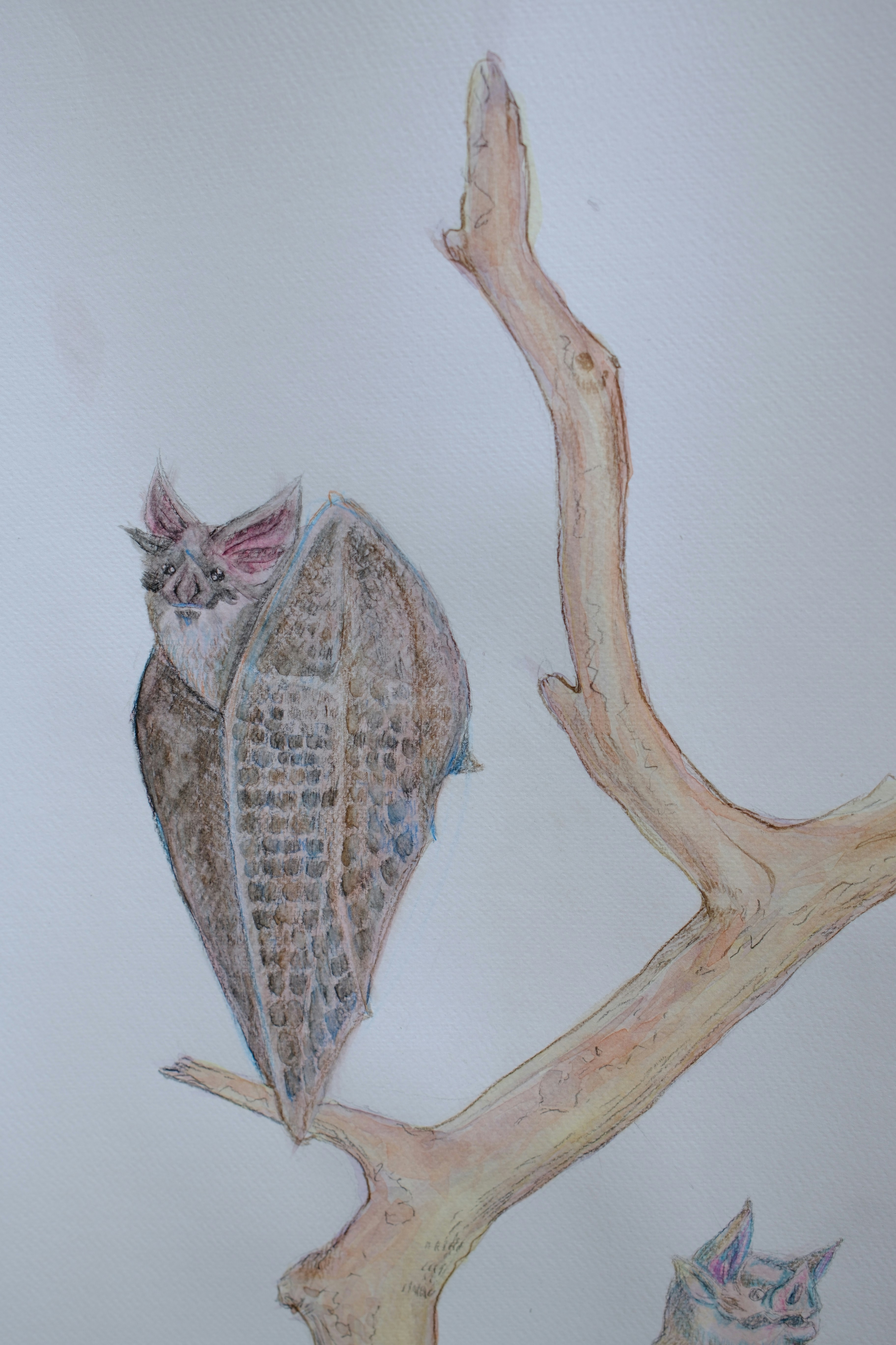 Moonlit Owl on a Painted Branch