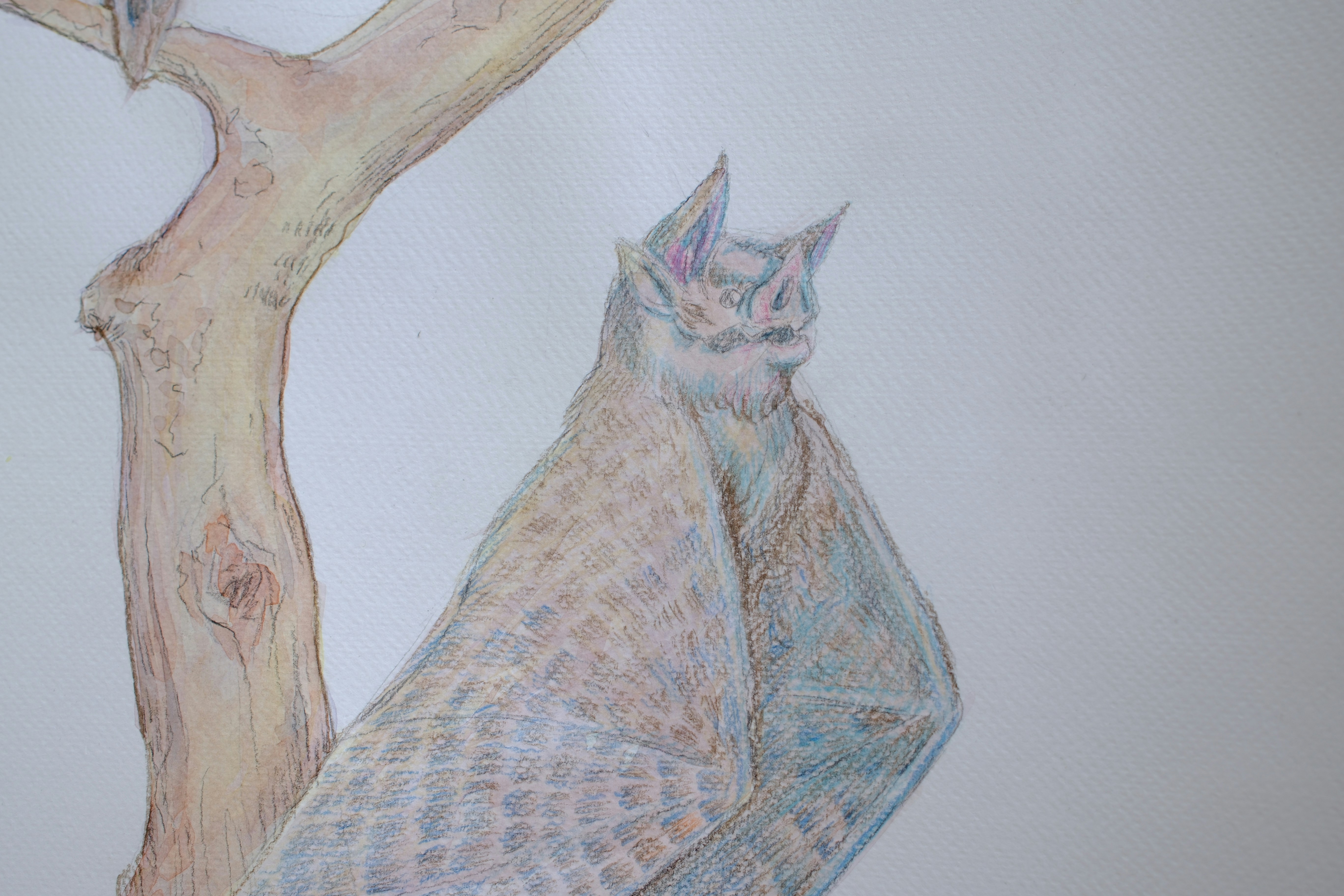 Cat in a Crescent Bark: A Soft-Pastel Portrait Under a Branch