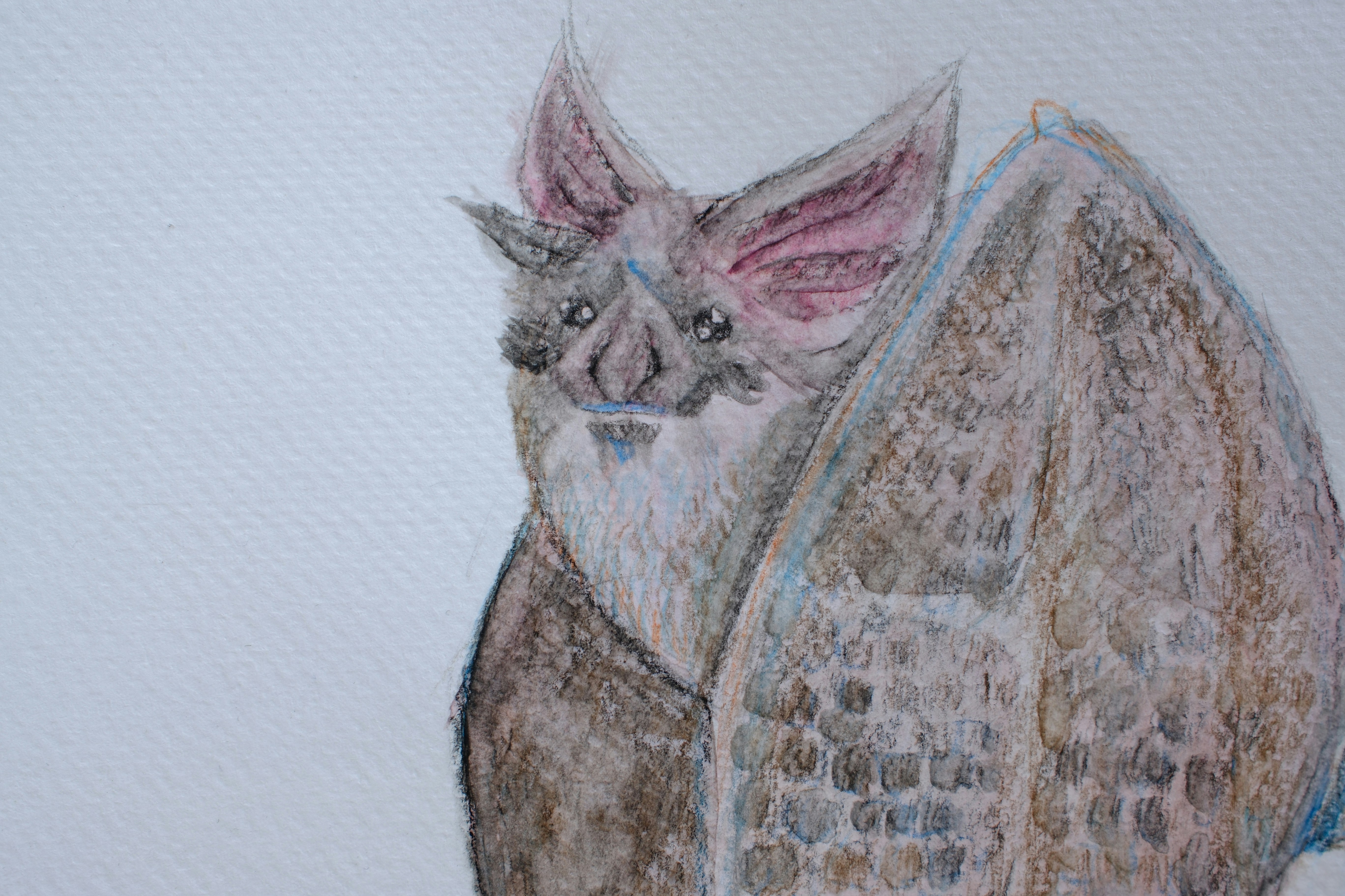 Whimsical Winged Watcher: A Sketch Come to Life