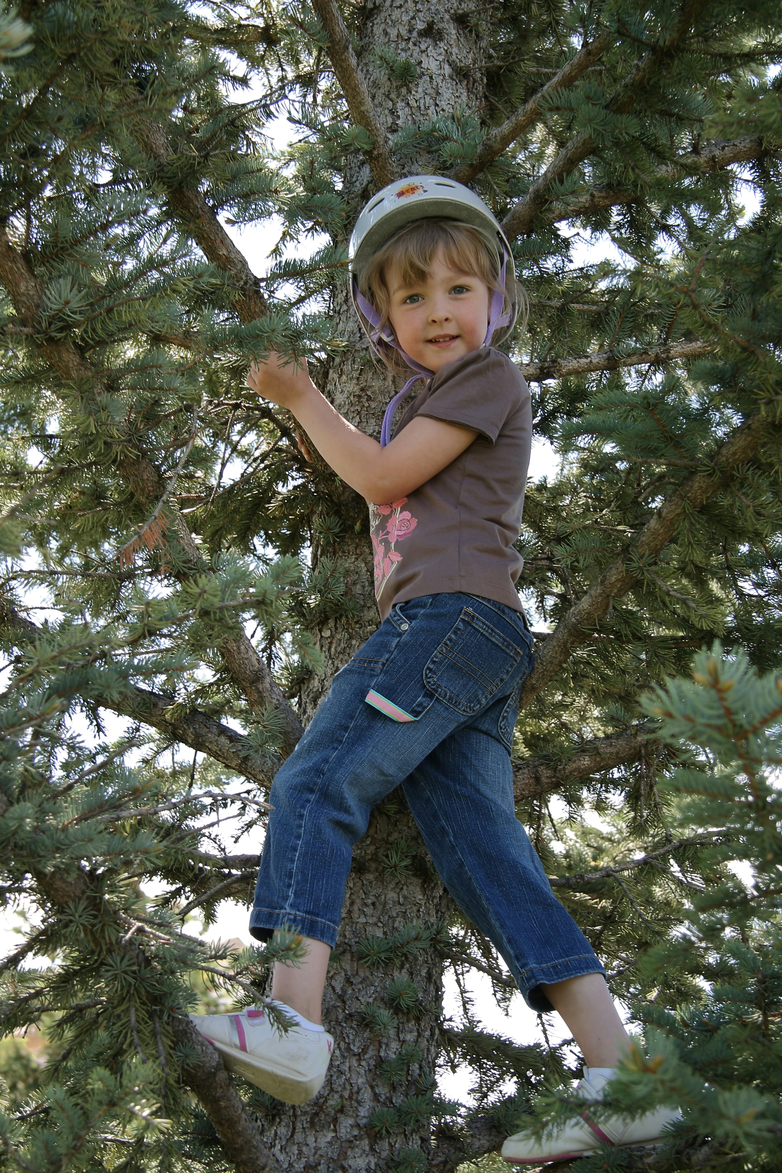 Child climbs a pine: a playful portrait among branches