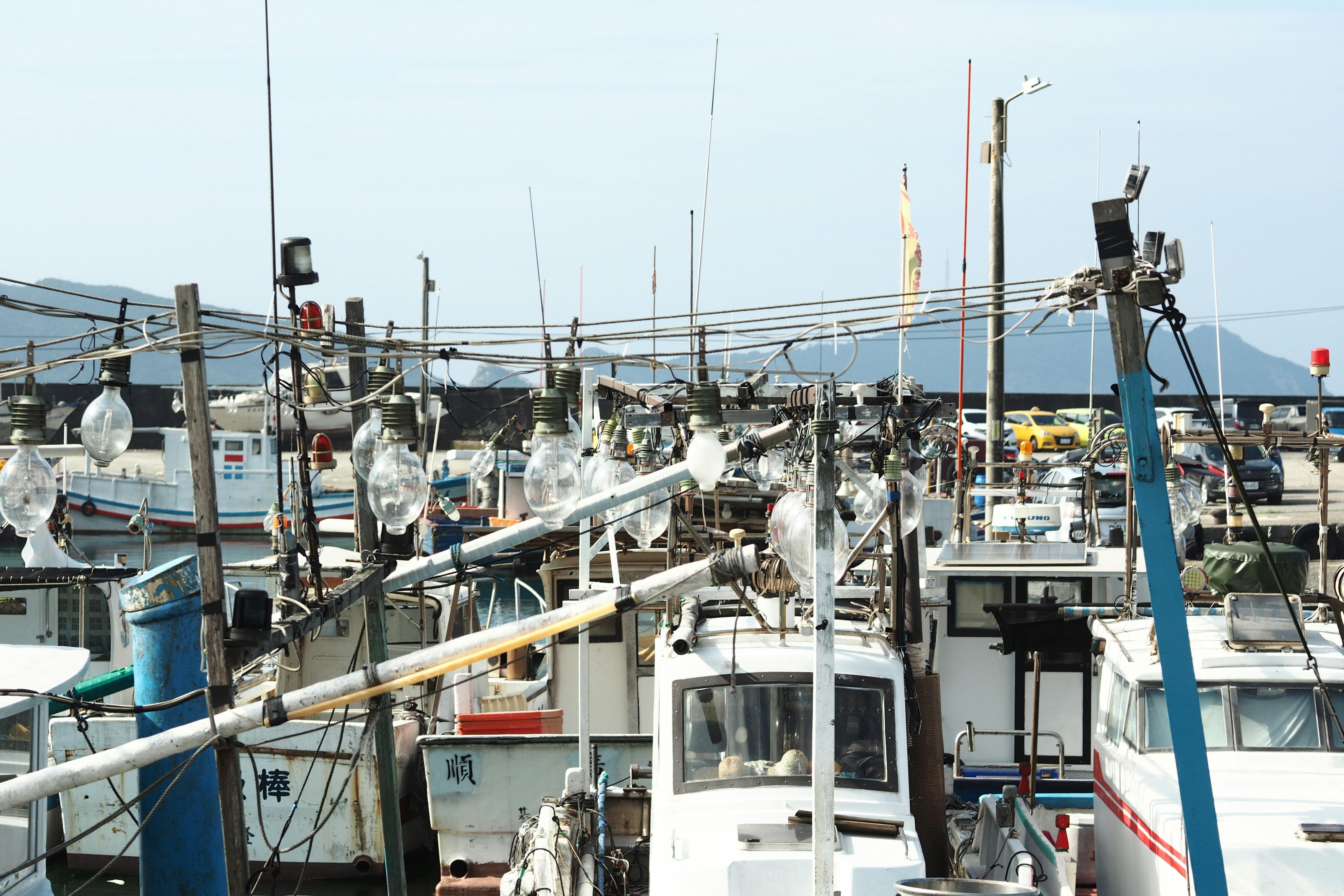 Stalks of Light: A Quiet Fleet at the Dock