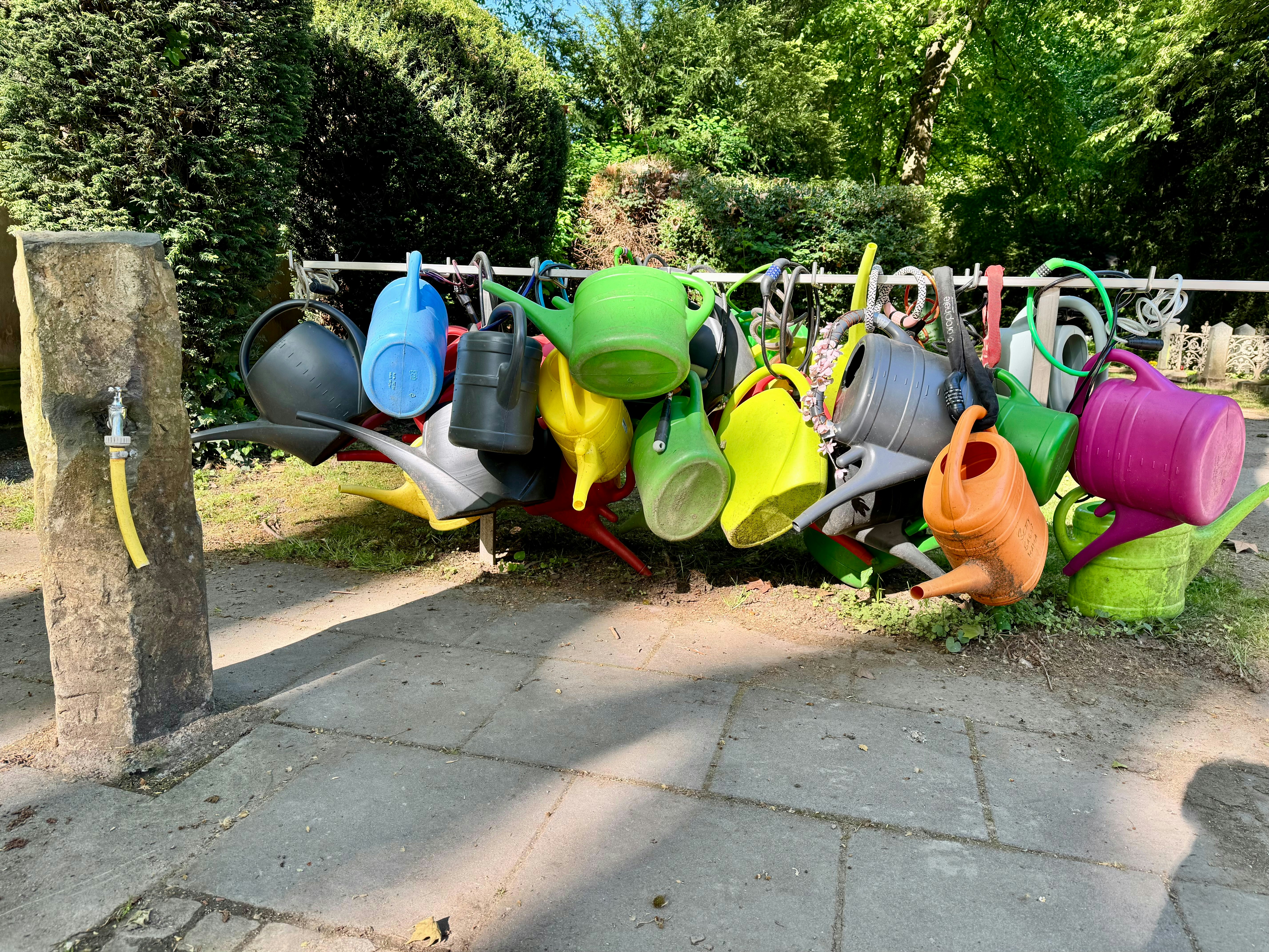 Colored watering cans cling to a rack beneath a sunlit hedge