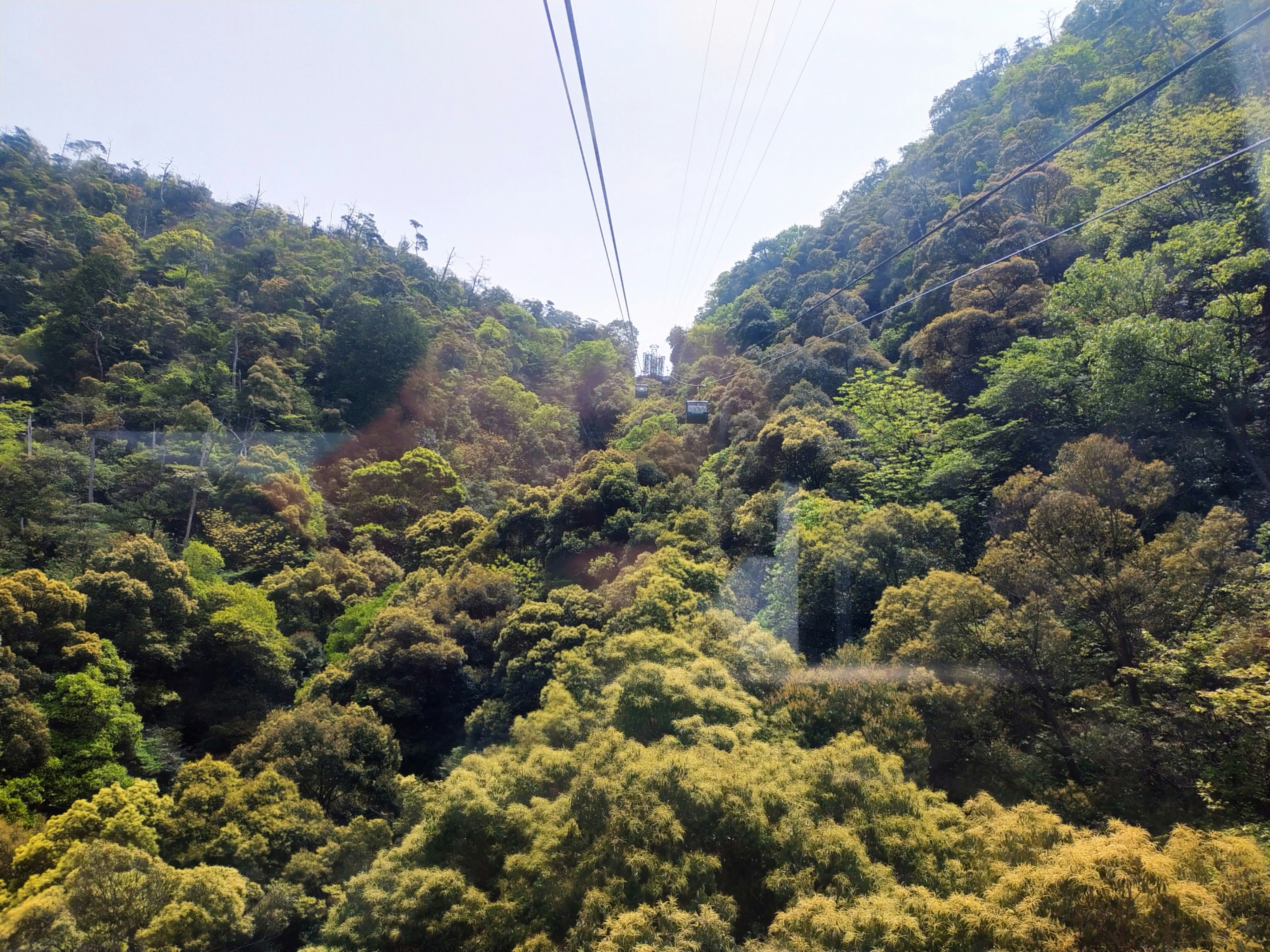 Cable car Glide Over a Green Canyon