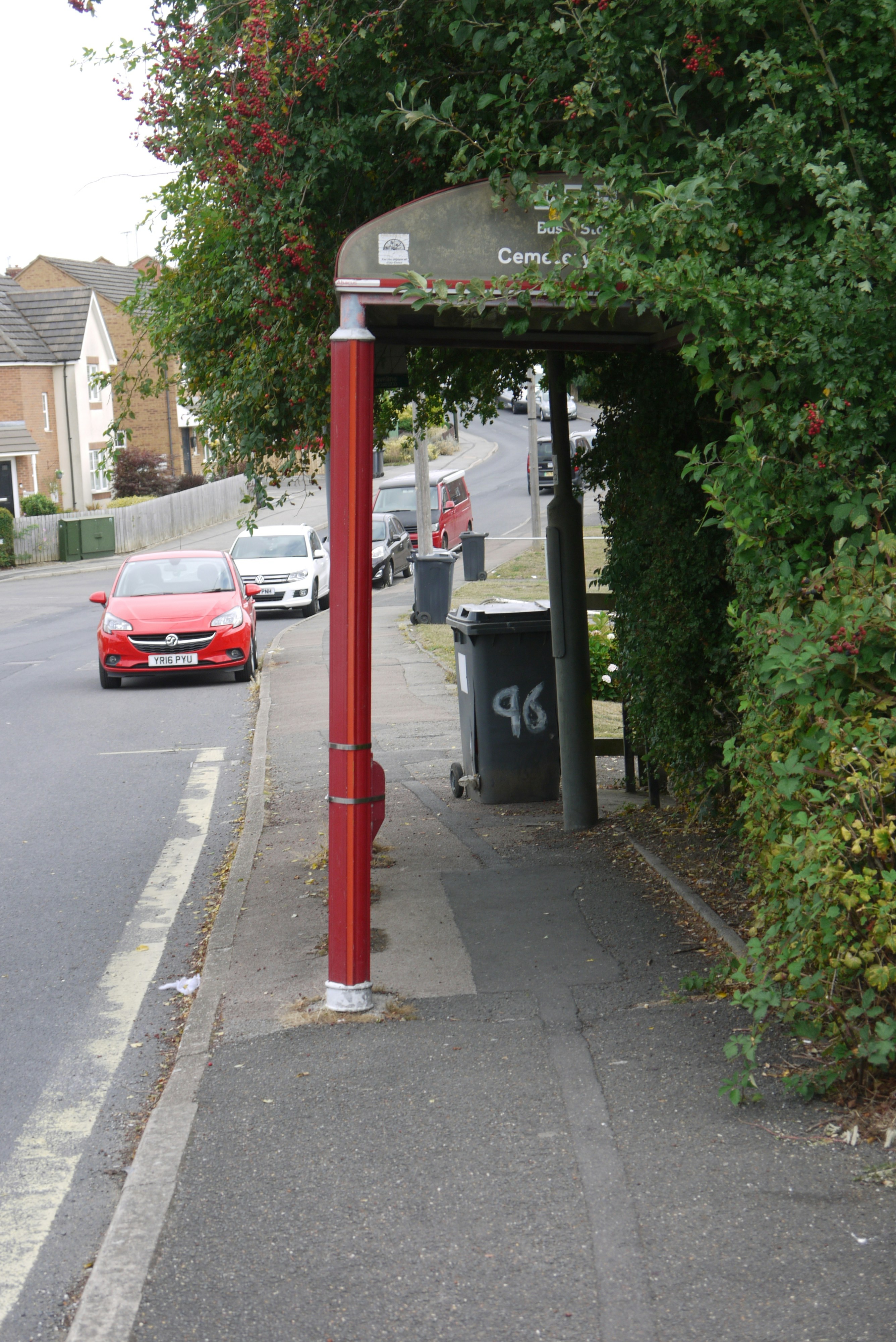Red Bus Stop Shelter Framed by Verdant Overgrowth on a Quiet Street