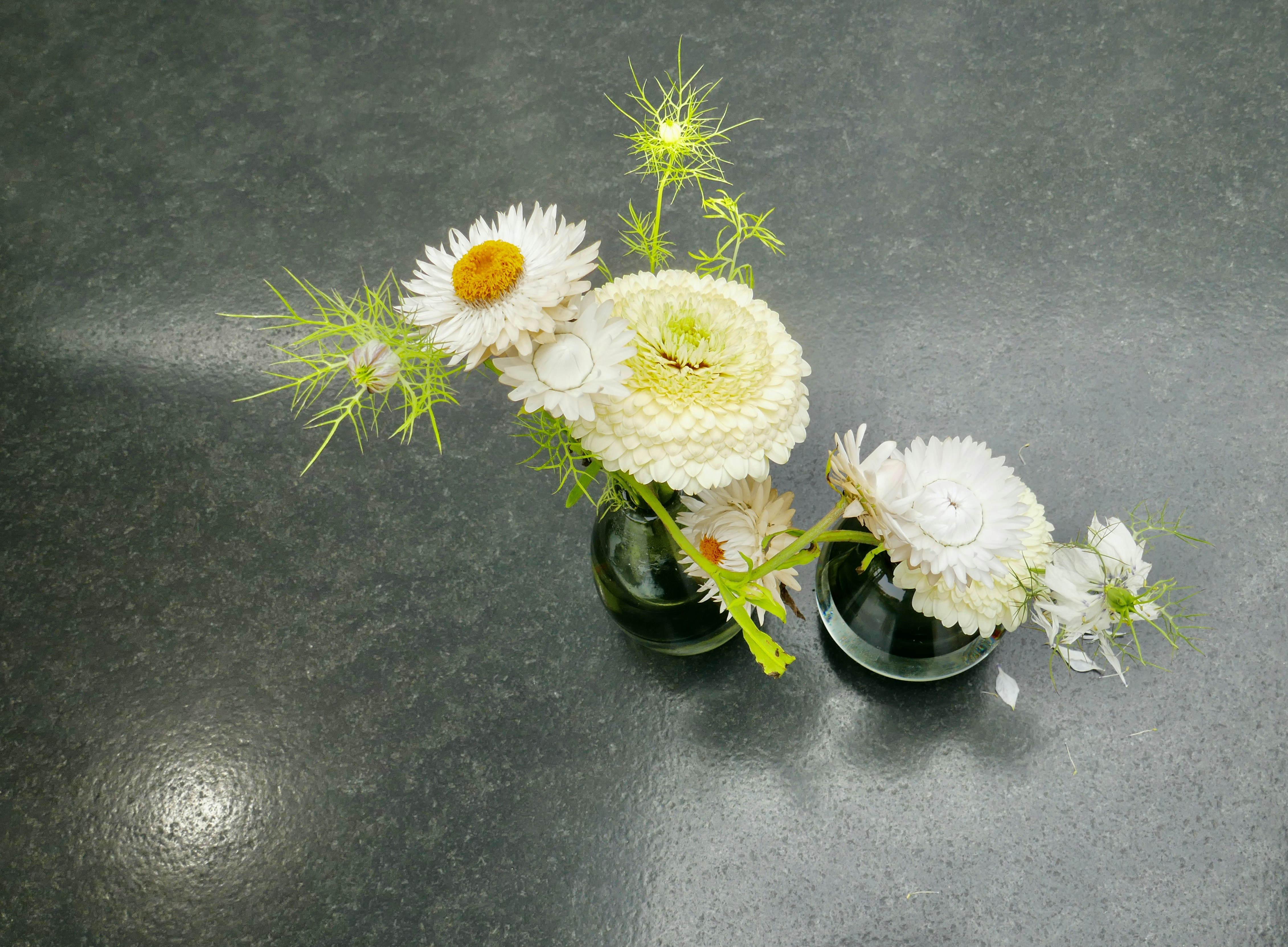 White chrysanthemums arranged in small glass vases on a dark countertop with green stems accenting the composition.