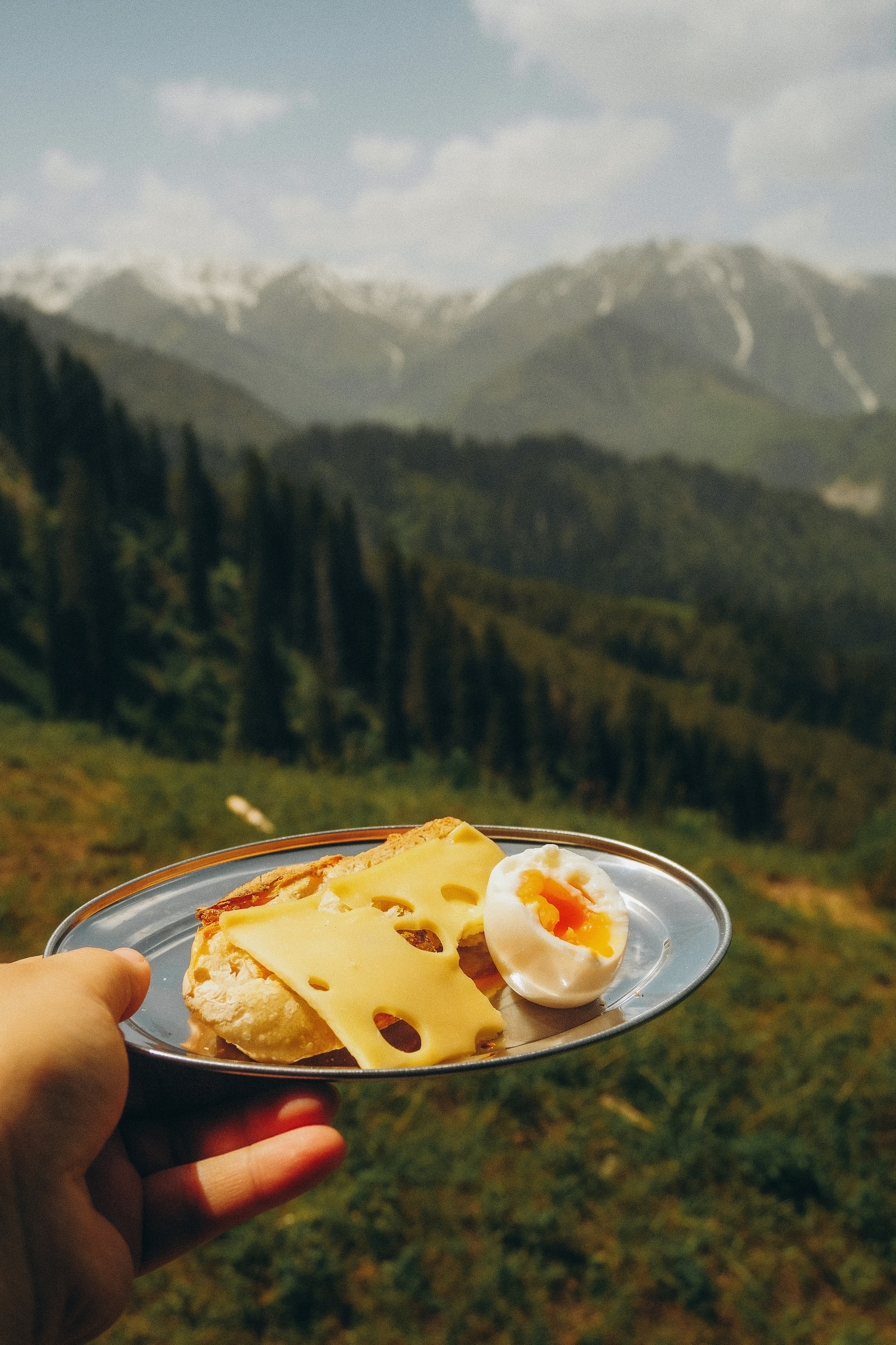Desert Plate on a Mountain Vista