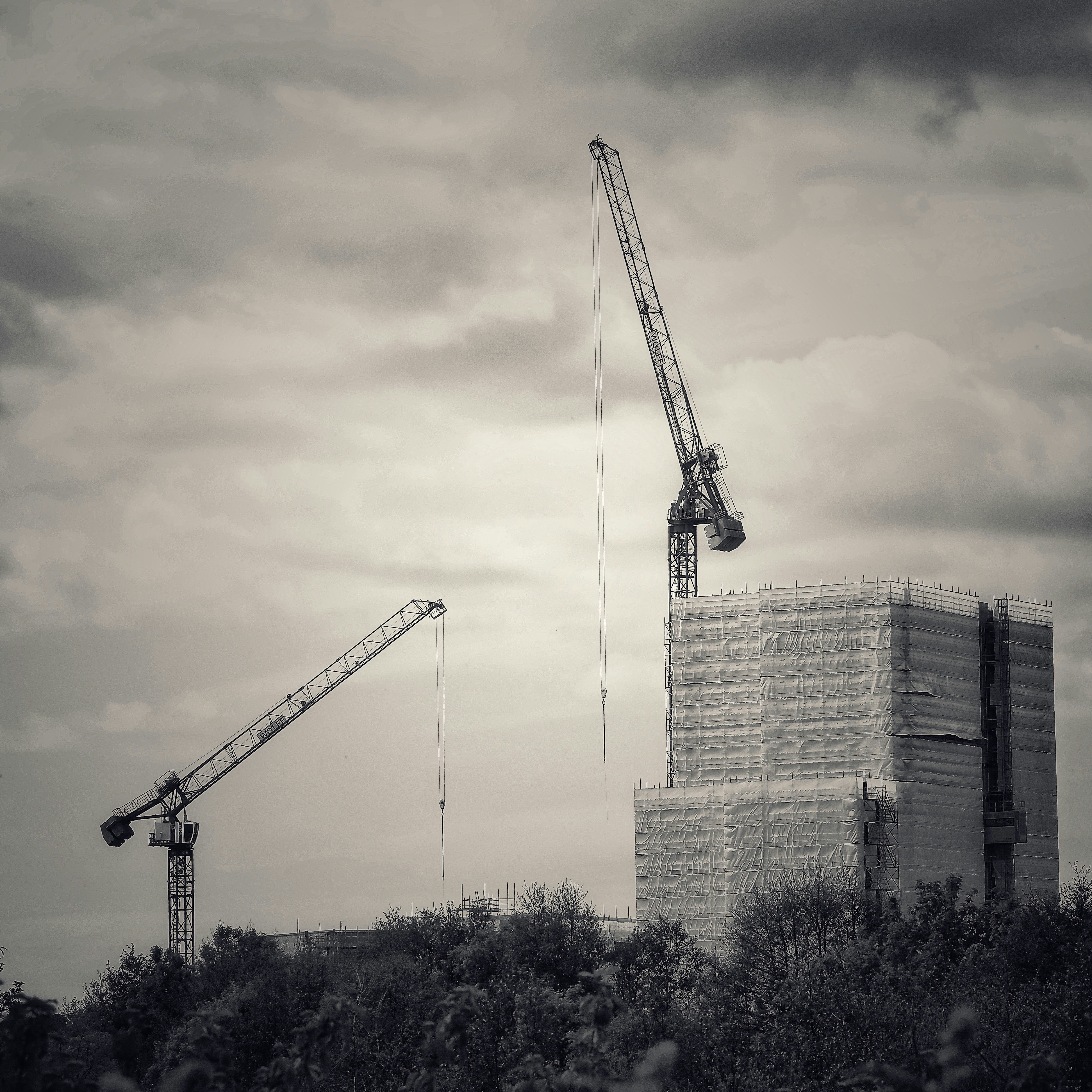 Cranes over a Quiet Skyline: Construction in Silhouette