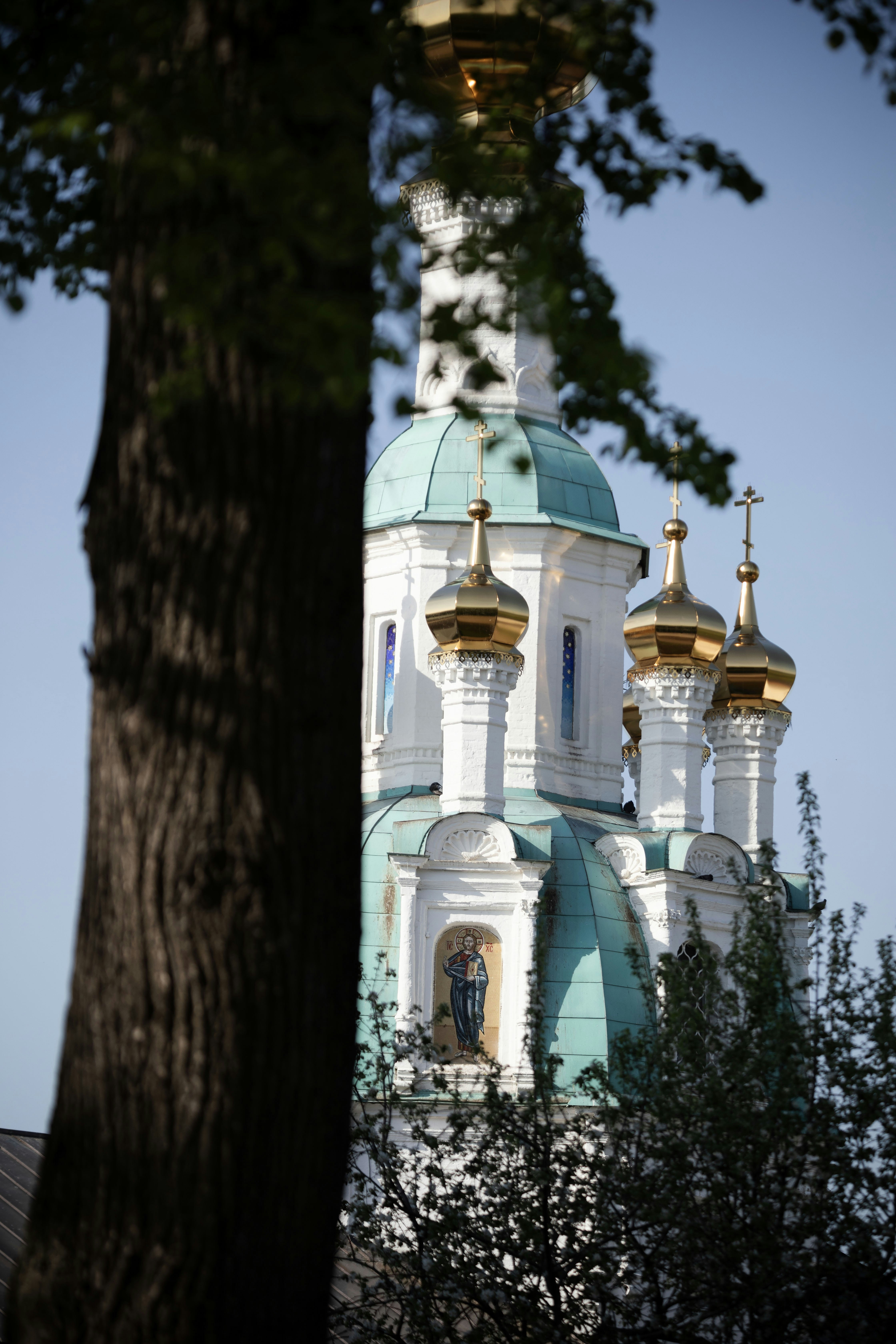 Sunlit Cathedral Spires Re framed by a Shaded Trunk