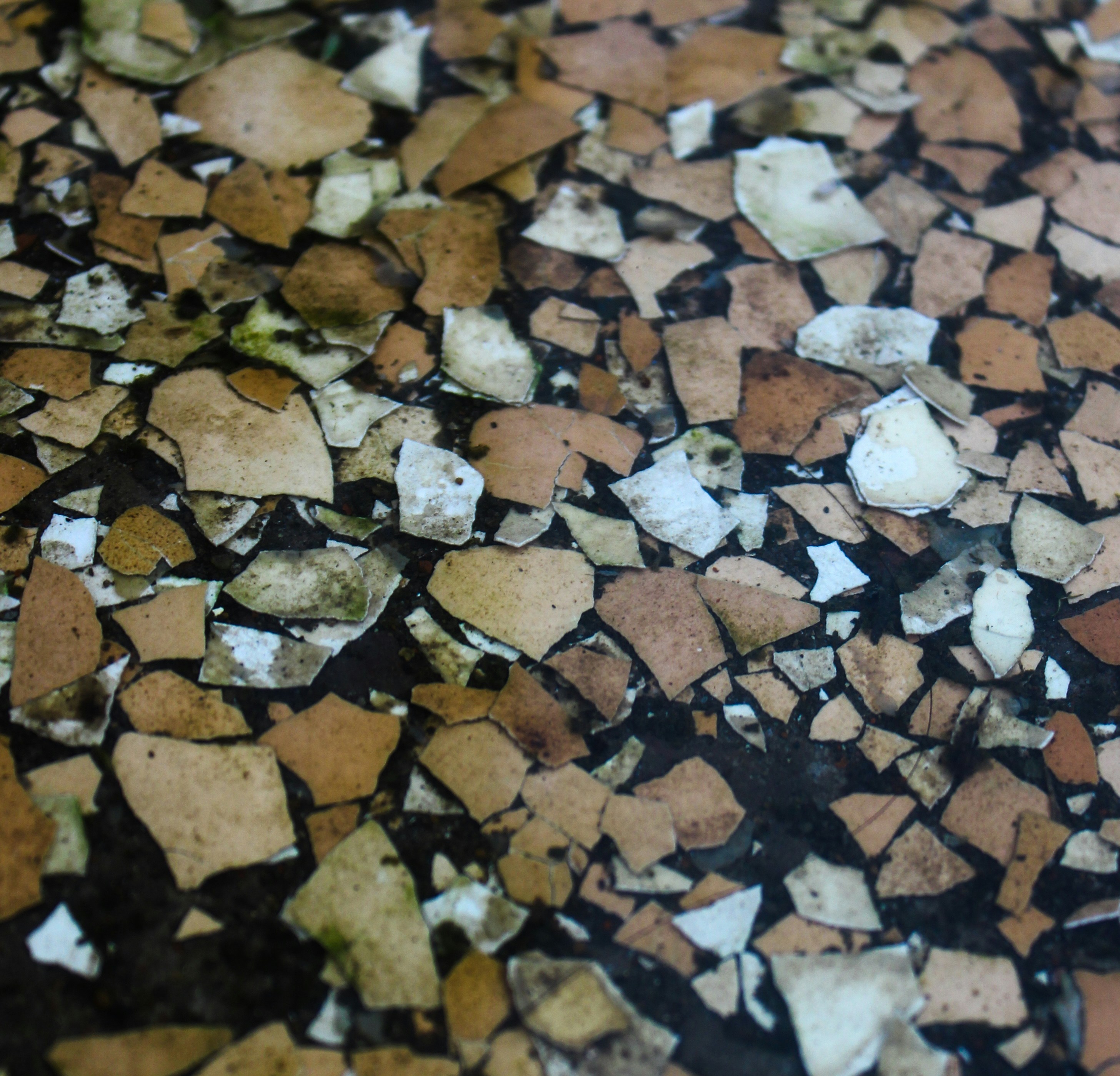 Pebbles in a Quiet Riverbed: A Mosaic of Autumn Fragments