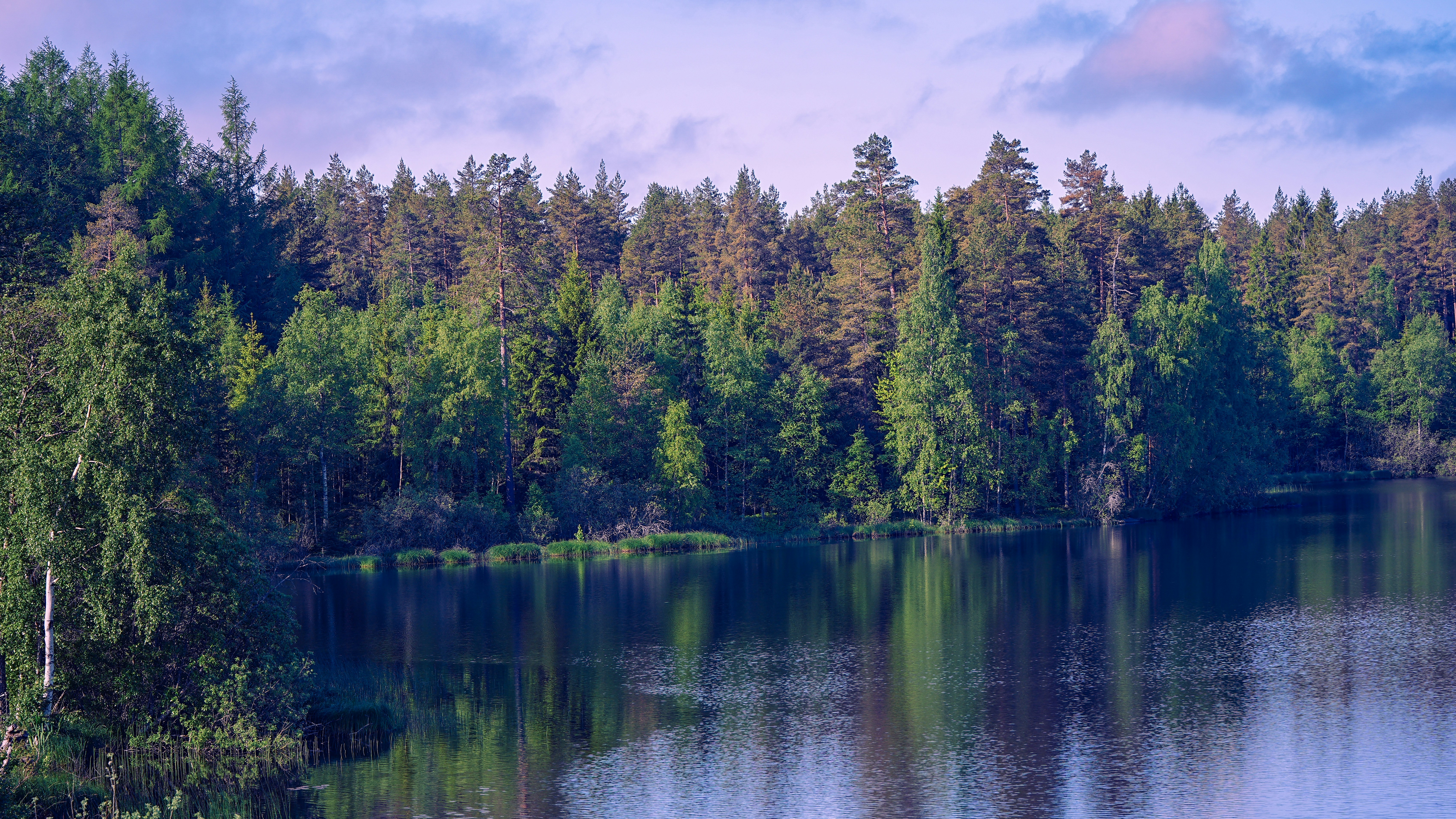 Lush green forest reflected in tranquil lake water.