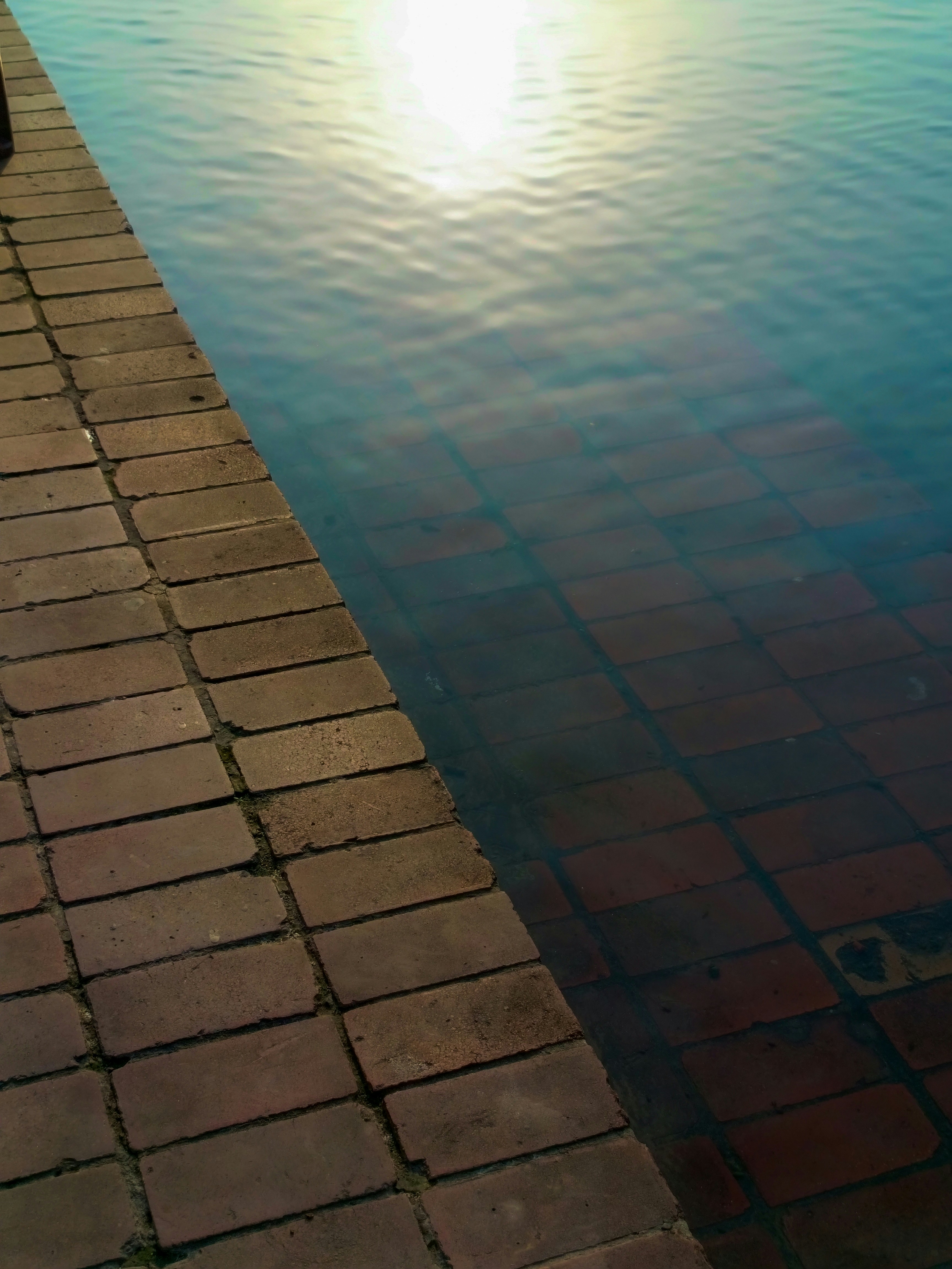 Sunlit Edge: Quiet Poolside Geometry