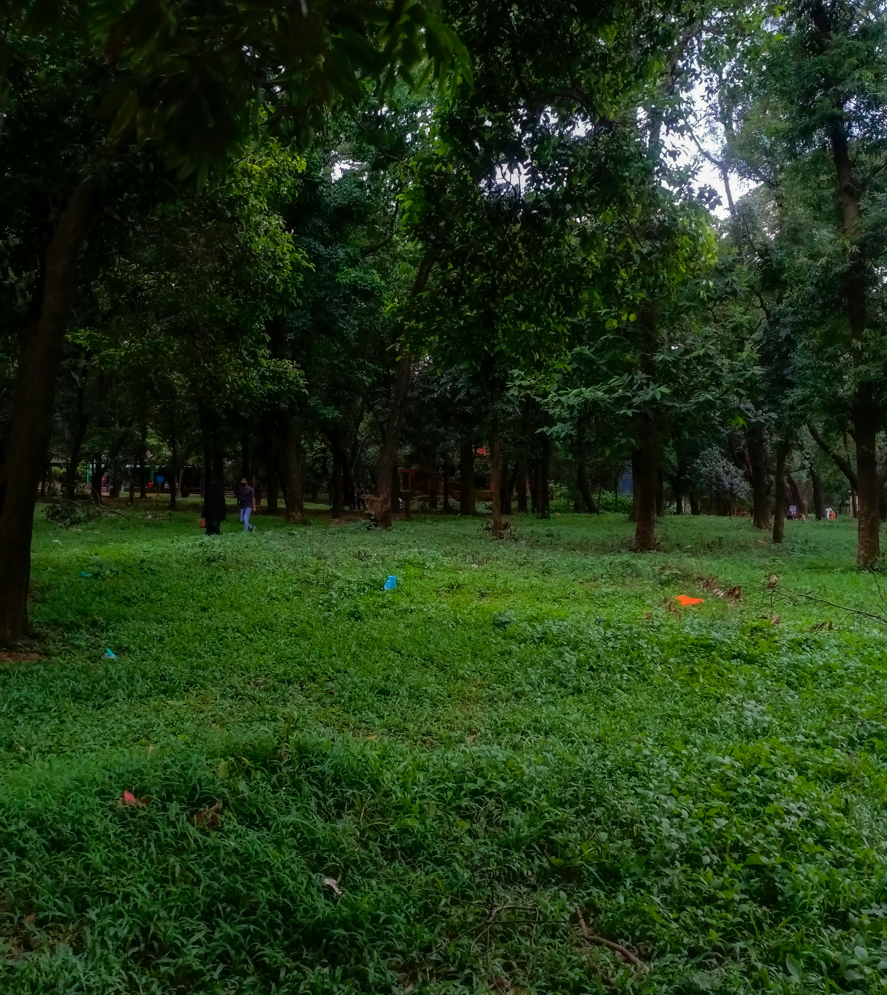 Lush park scene with dense green undergrowth and scattered trees; people visible in the mid-ground, suggesting a public park setting.