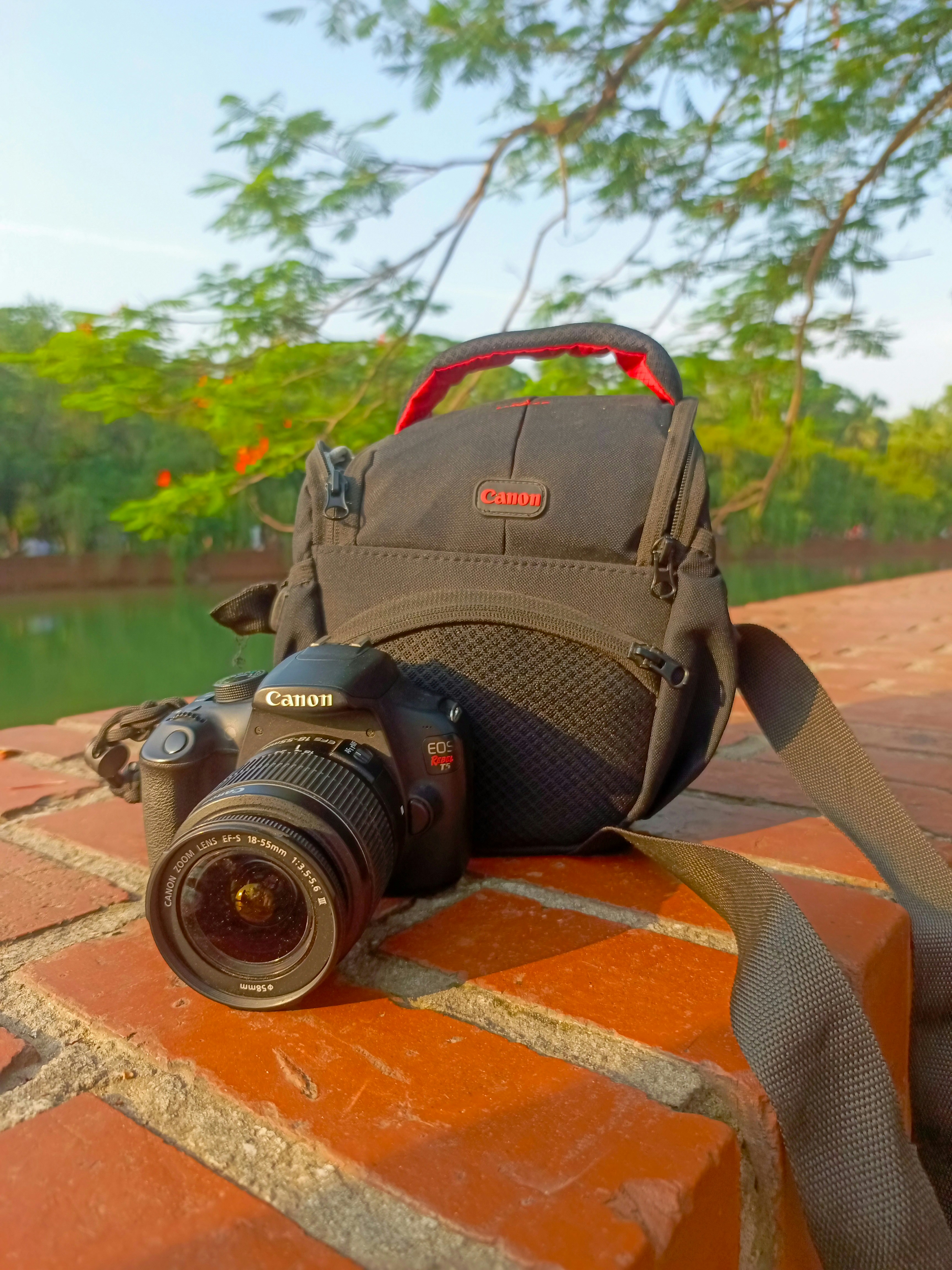 Camera Close-Up: Canon Gear on a Brick Bench by the Park