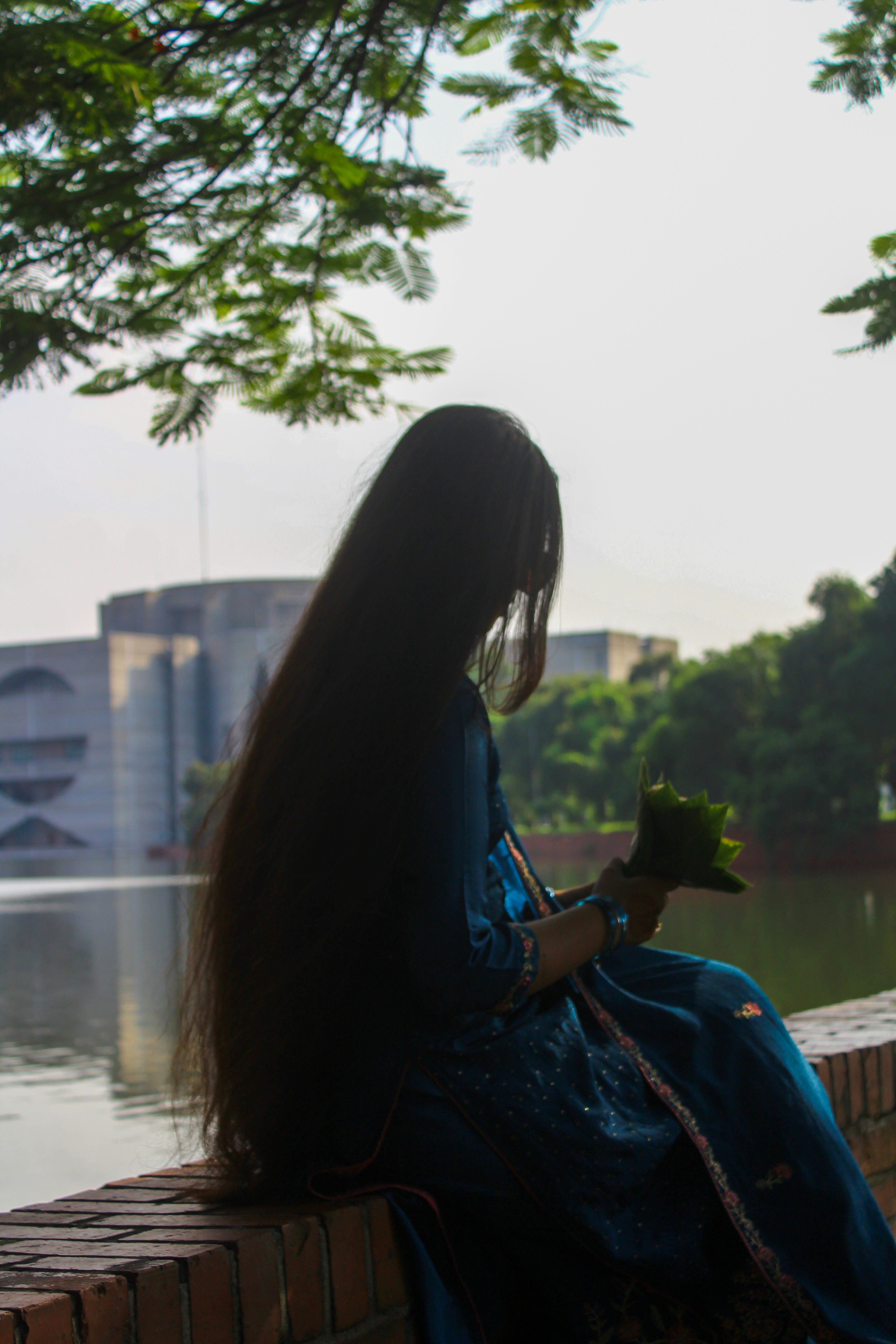 Silhouetted Serenity by the Water with a Leafy Gaze