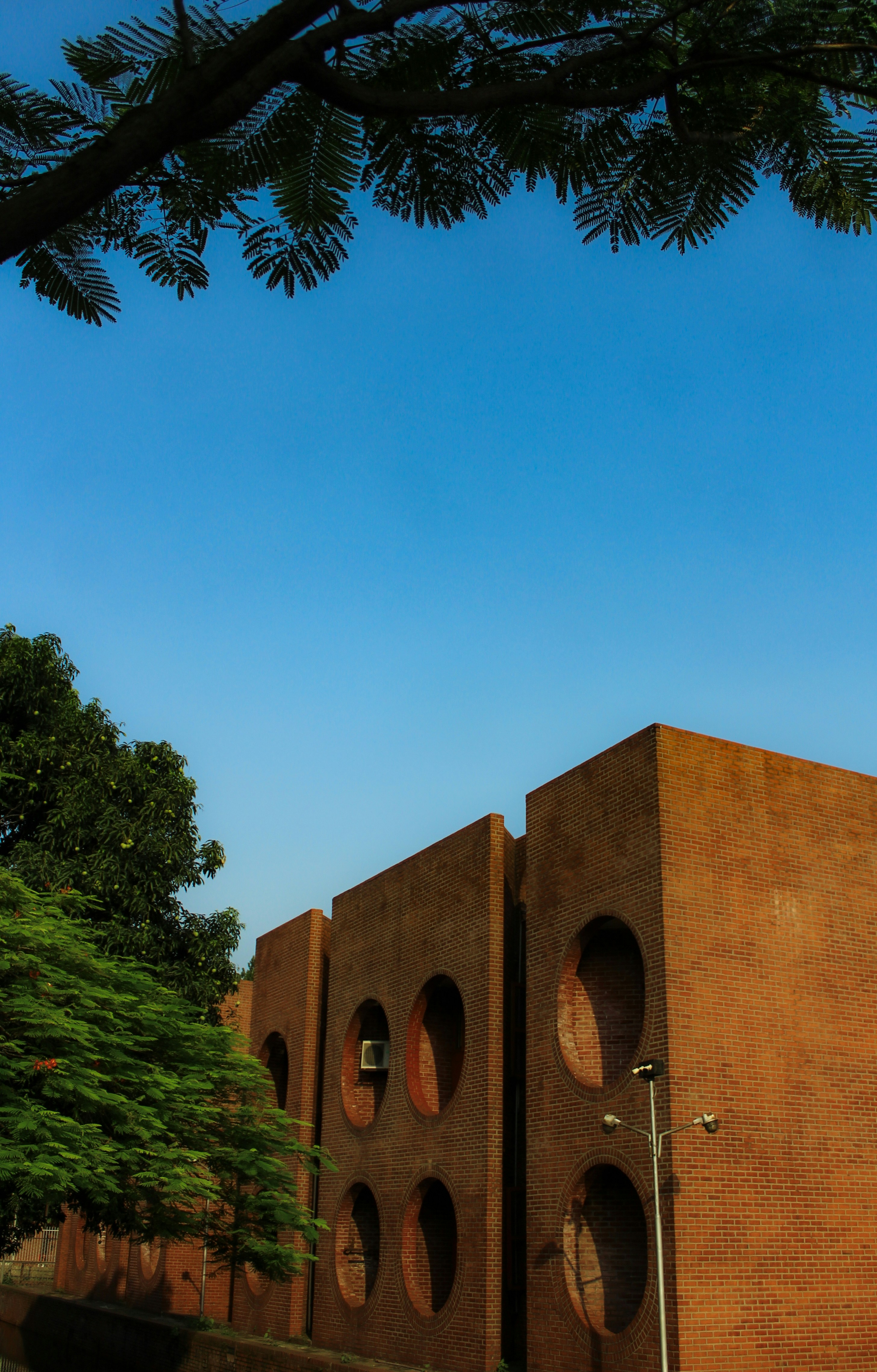 Brick arches under a cobalt sky framed by tropical foliage